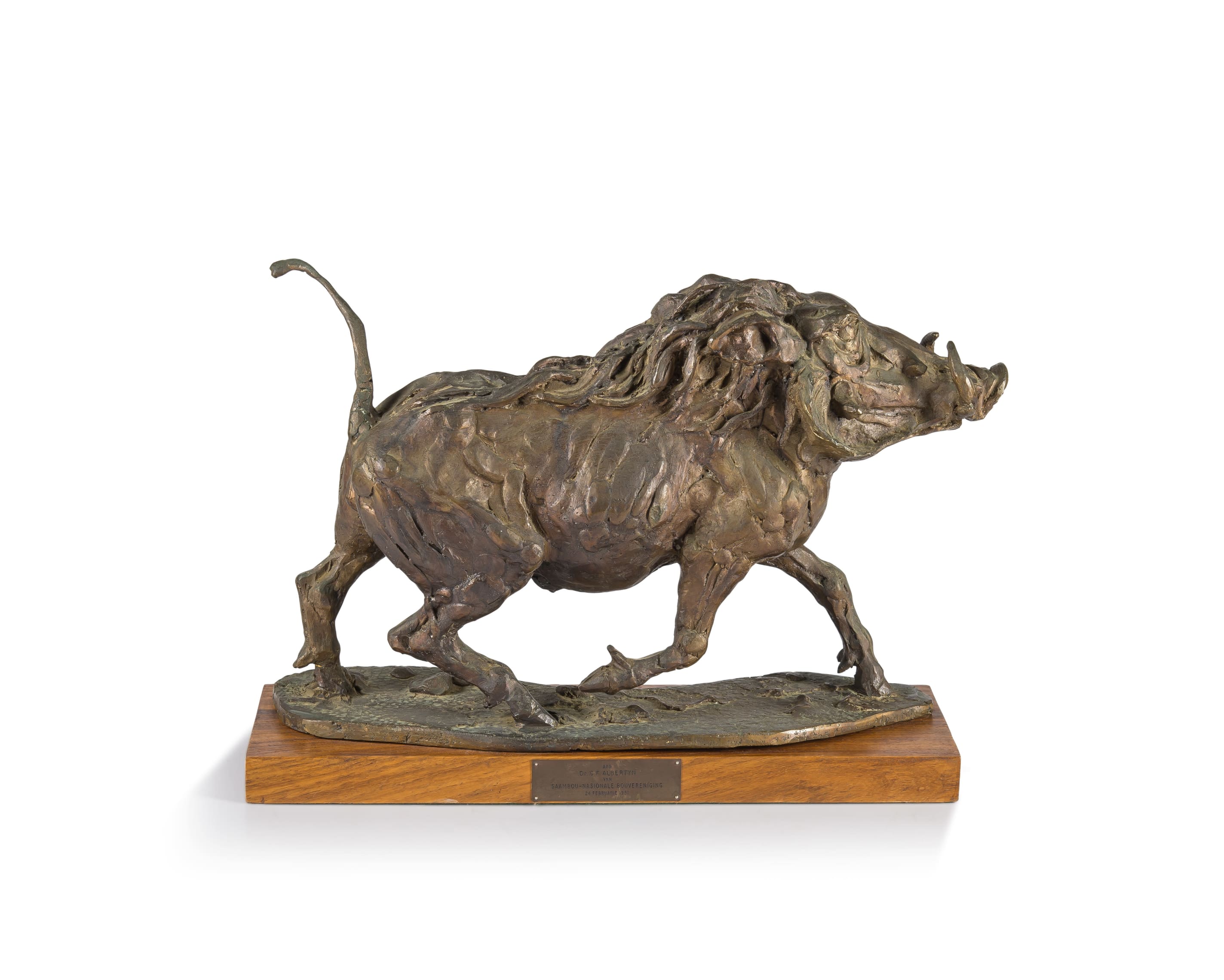 Warthog by Jo Roos | Strauss & Co