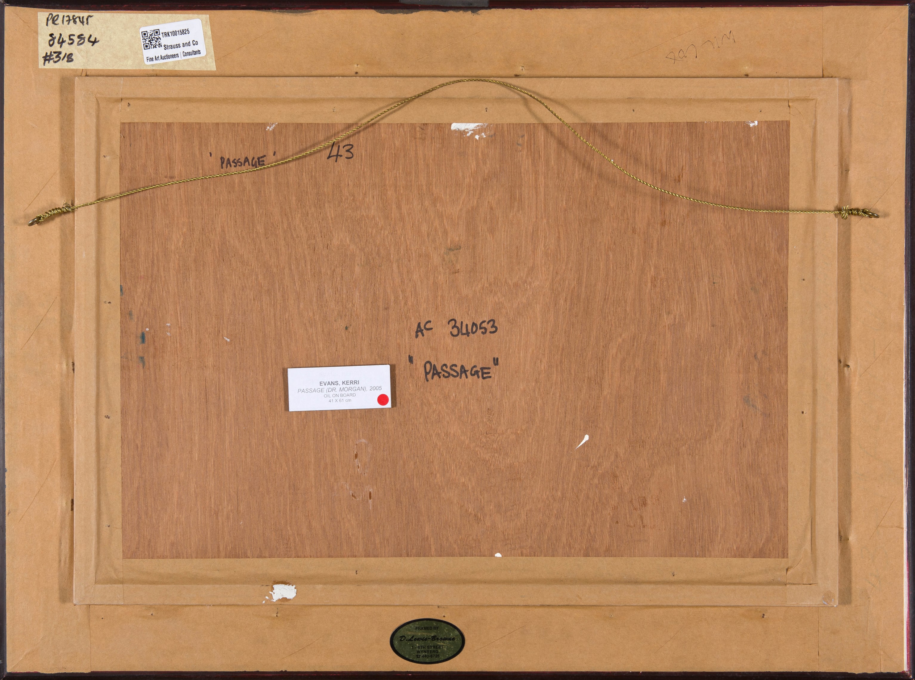 Passage (Dr. Morgan) by Kerri-Jane Evans | Strauss & Co