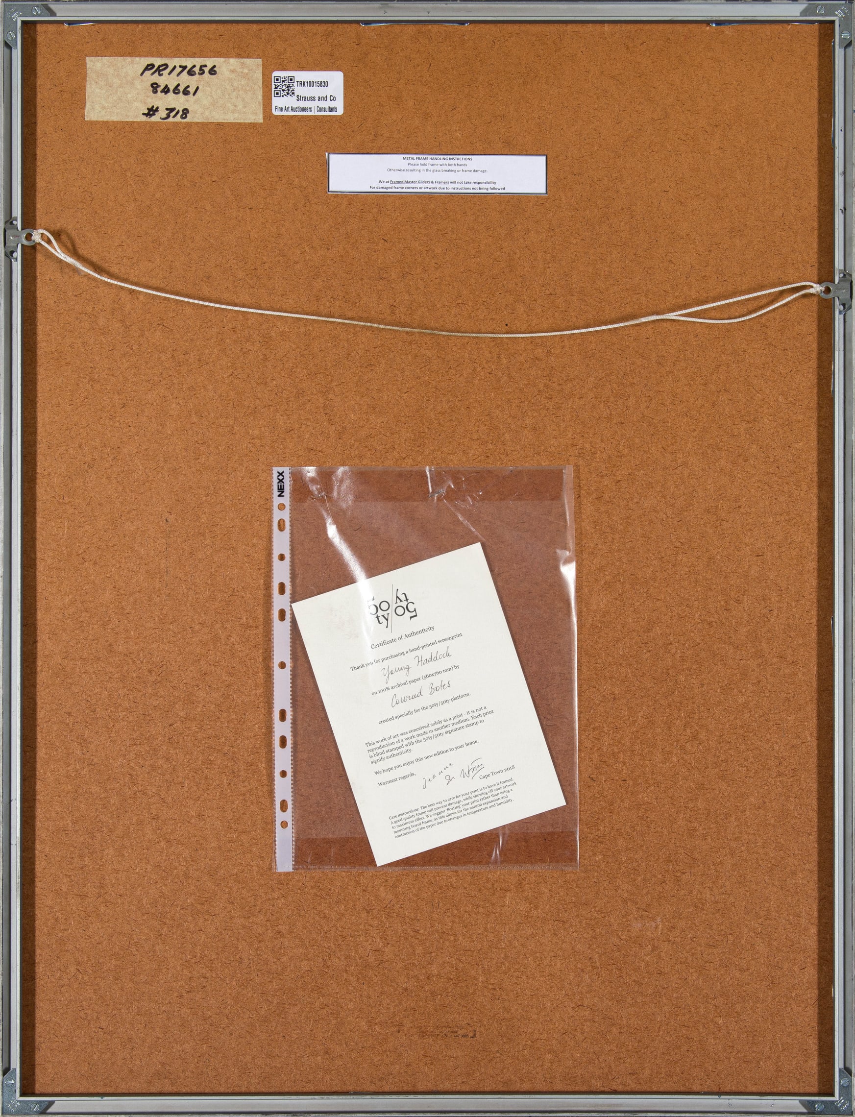 Young Haddock by Conrad Botes | Strauss & Co