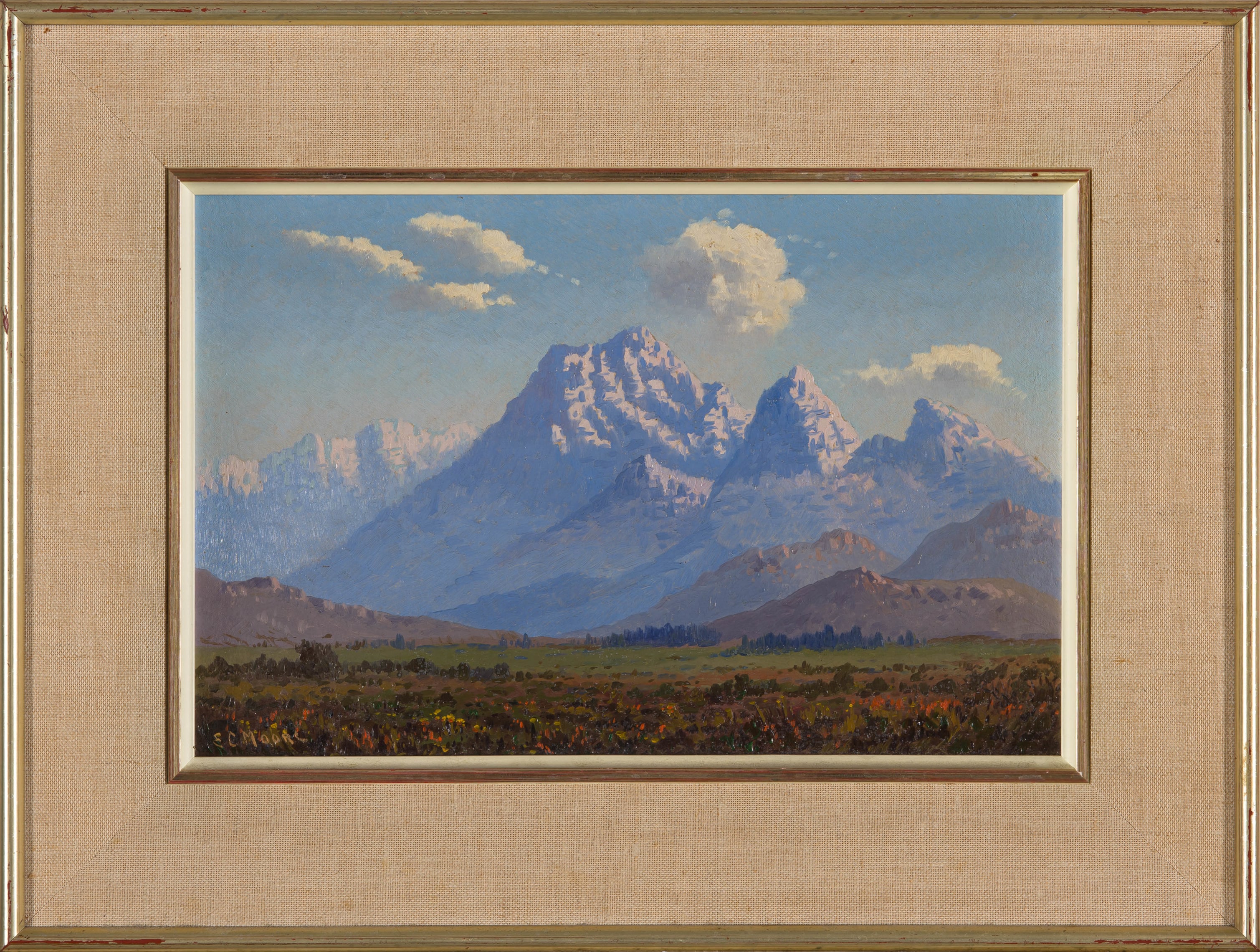 Worcester Mountains by Edward Charles Moore | Strauss & Co