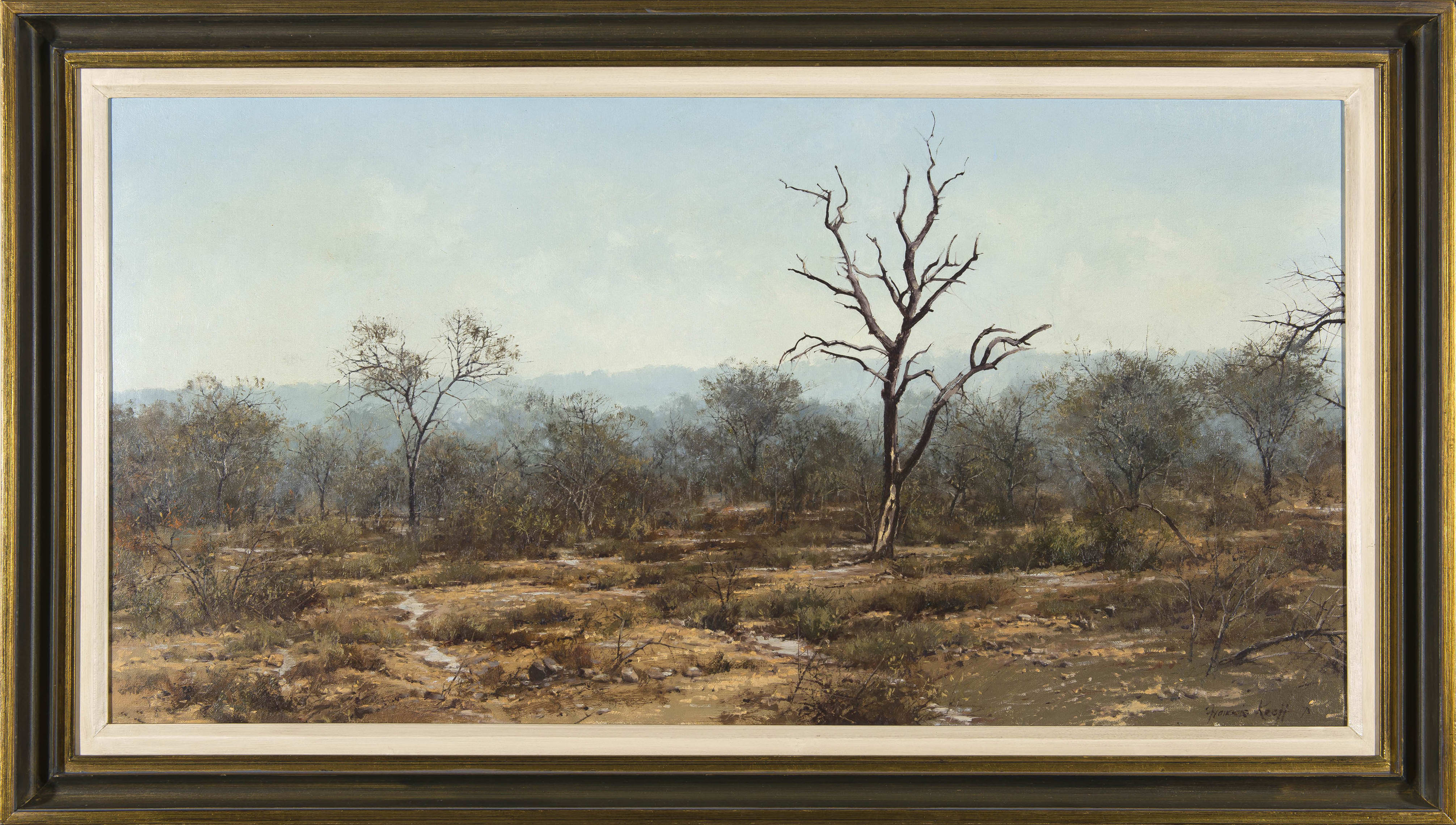 Bushveld Landscape by Francois Koch | Strauss & Co