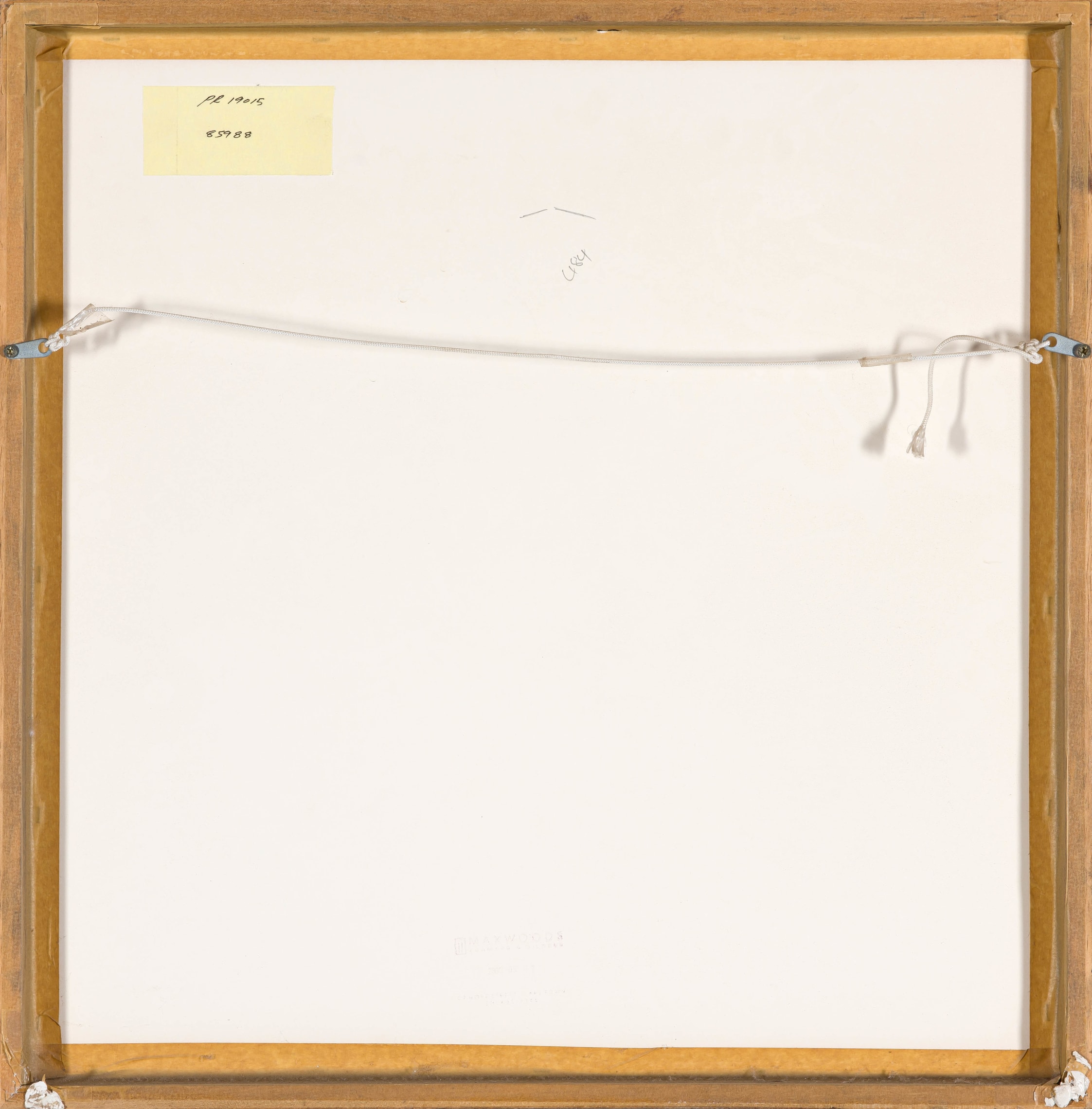 Scurrying Mouse by Roger Ballen | Strauss & Co