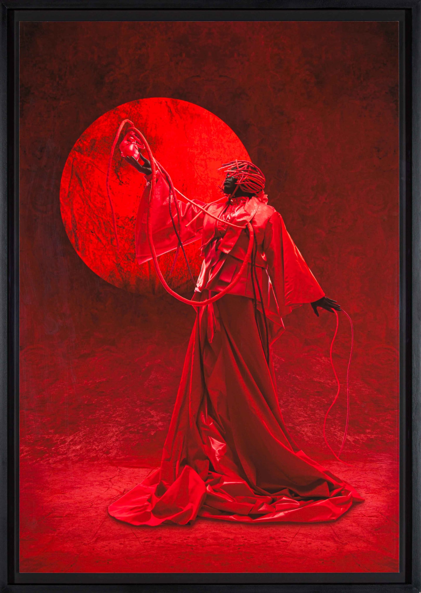 The Locus by Mary Sibande | Strauss & Co