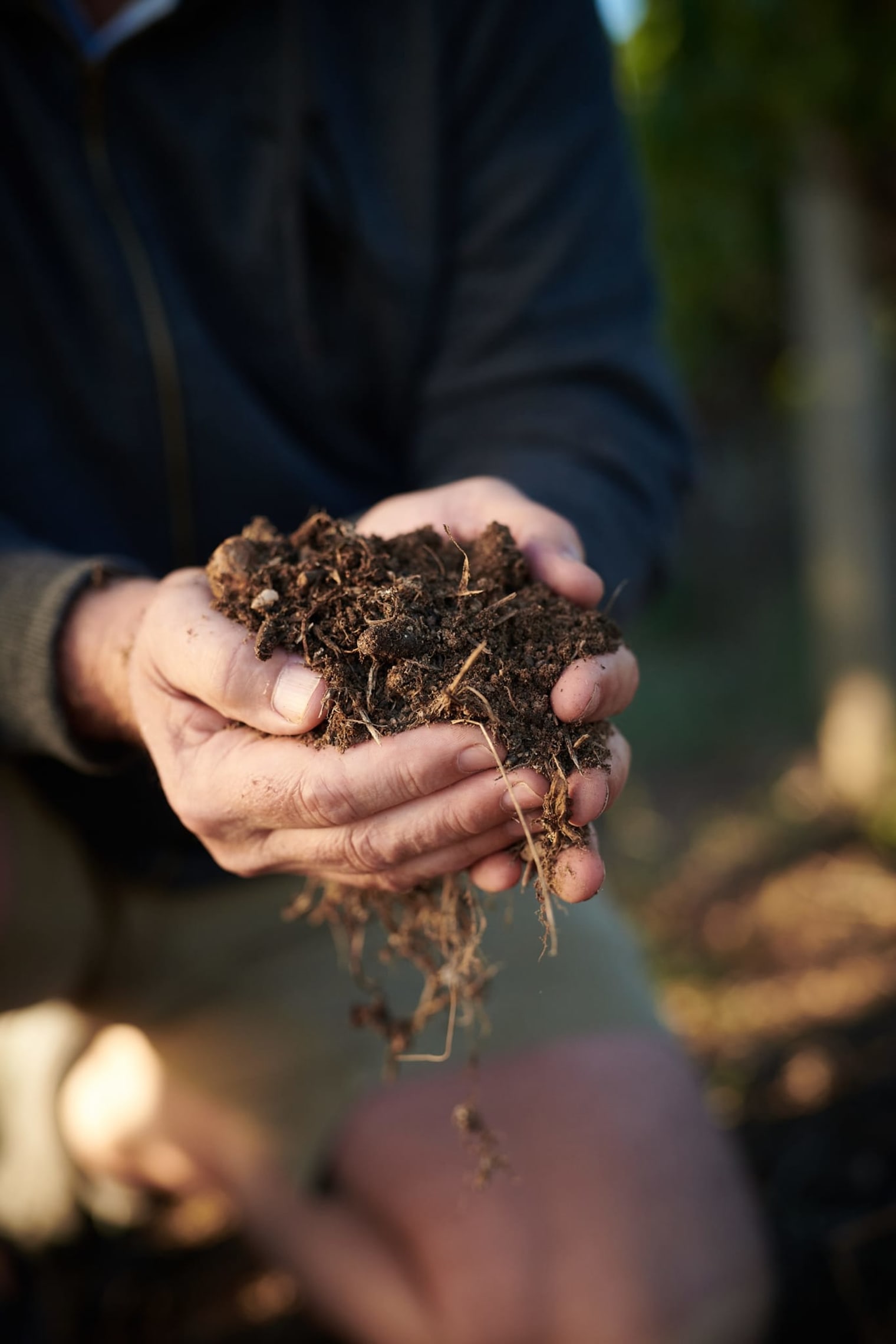 2021 Frans K. Smit Heritage Reserve Red 24 (4 x 6) 750ml by Spier Wines ...