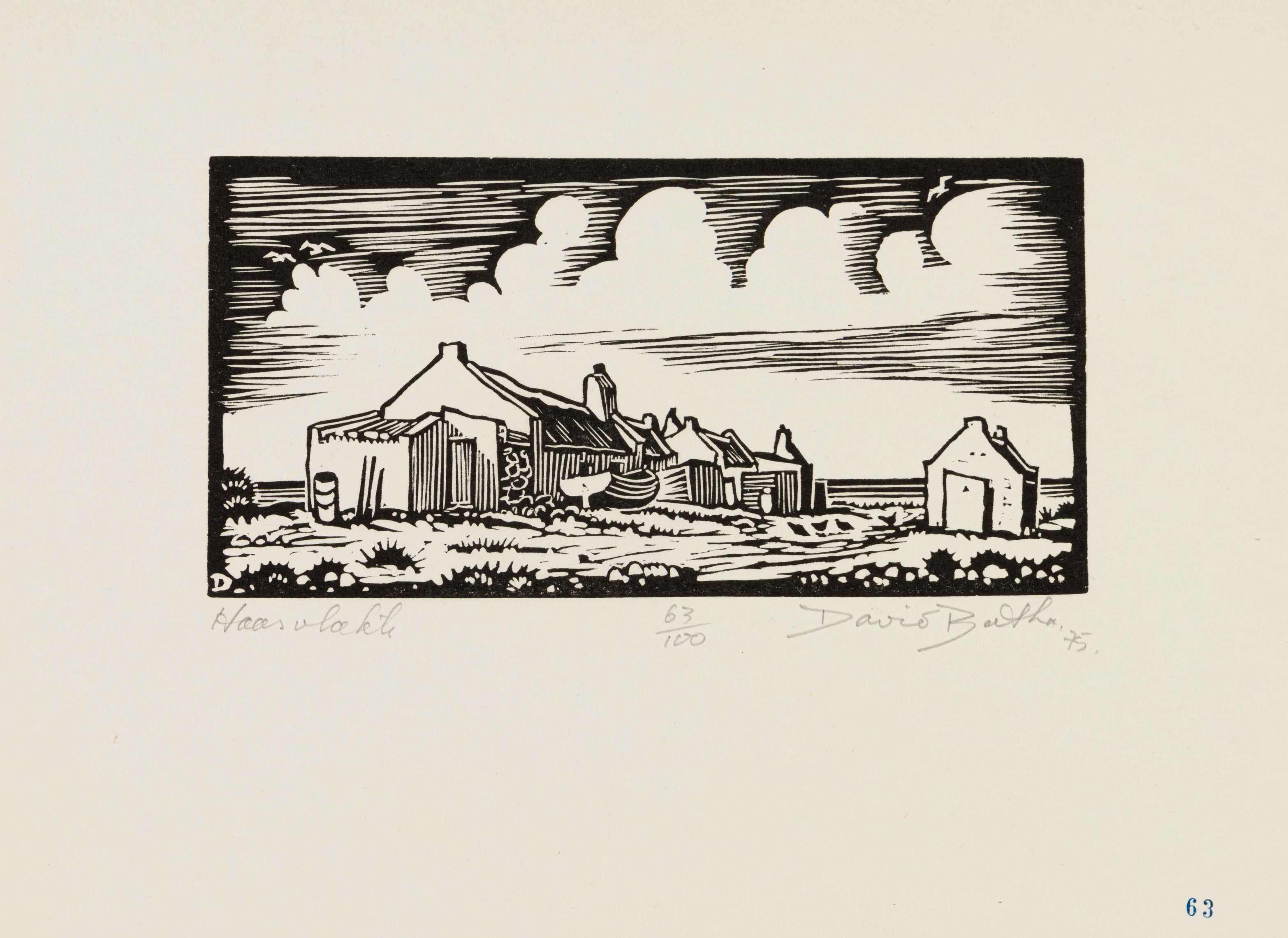 Haasvlakte by David Botha | Strauss & Co