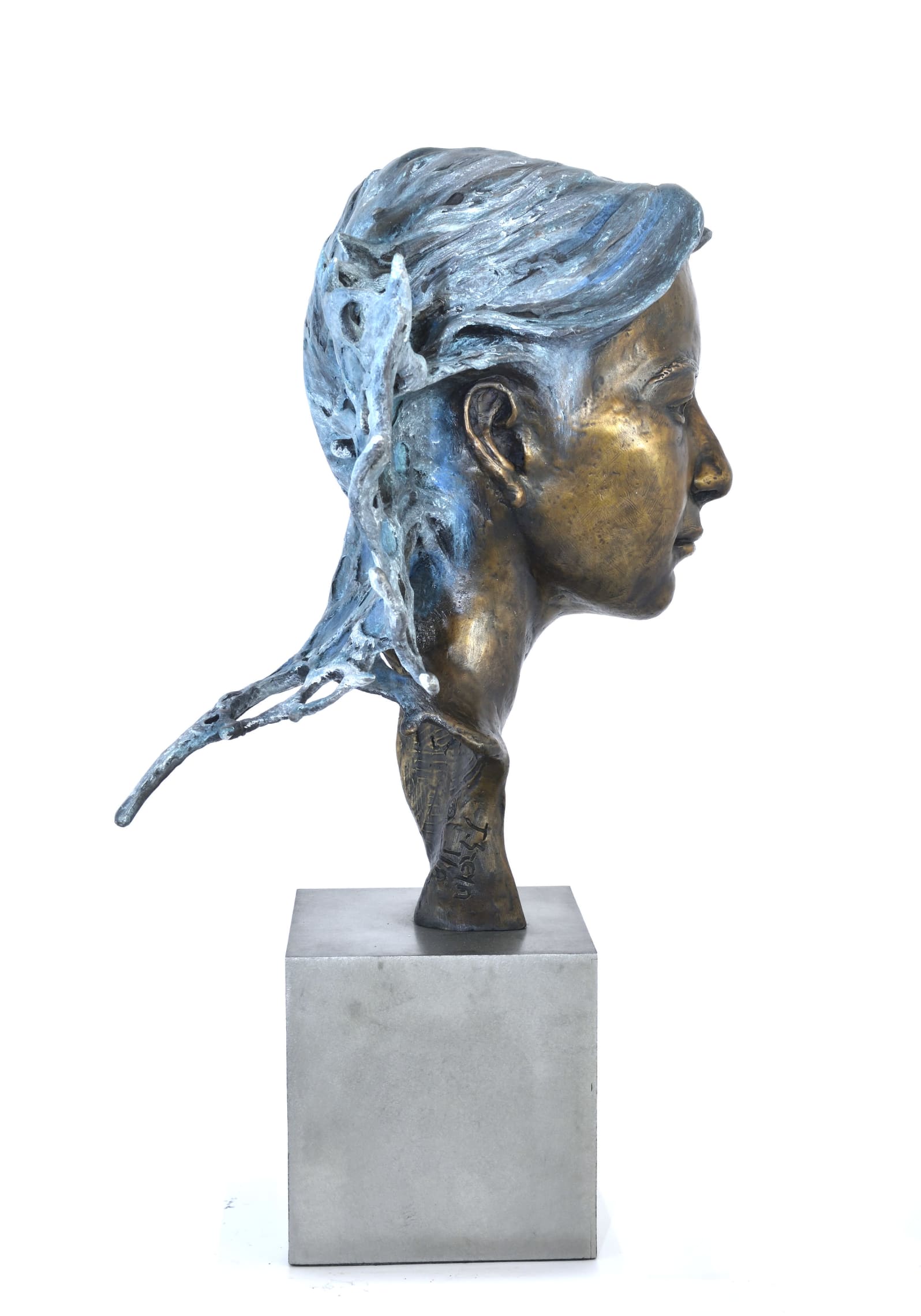 Brainwave by Johan Steyn | Strauss & Co