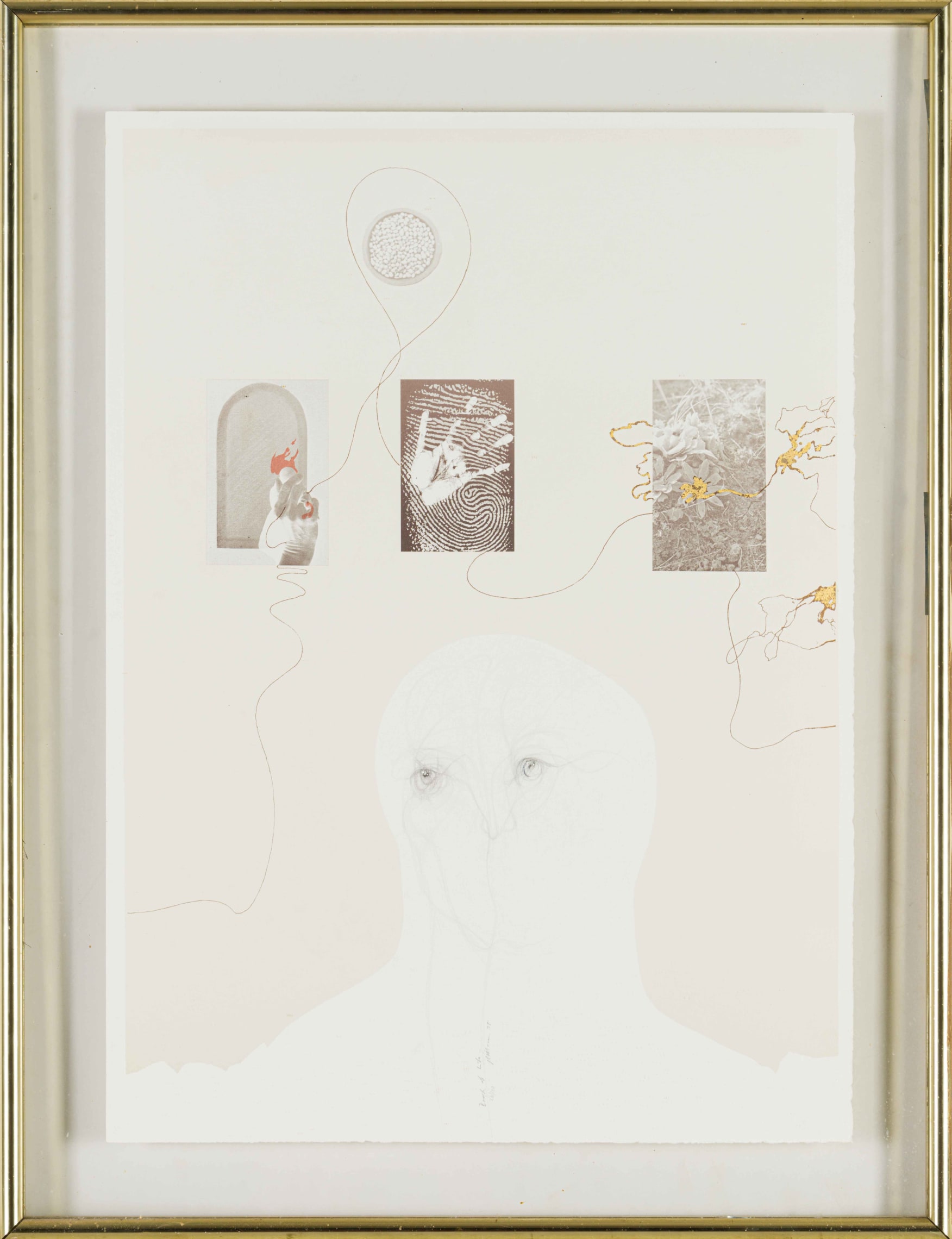 Book of Life by Judith Mason | Strauss & Co