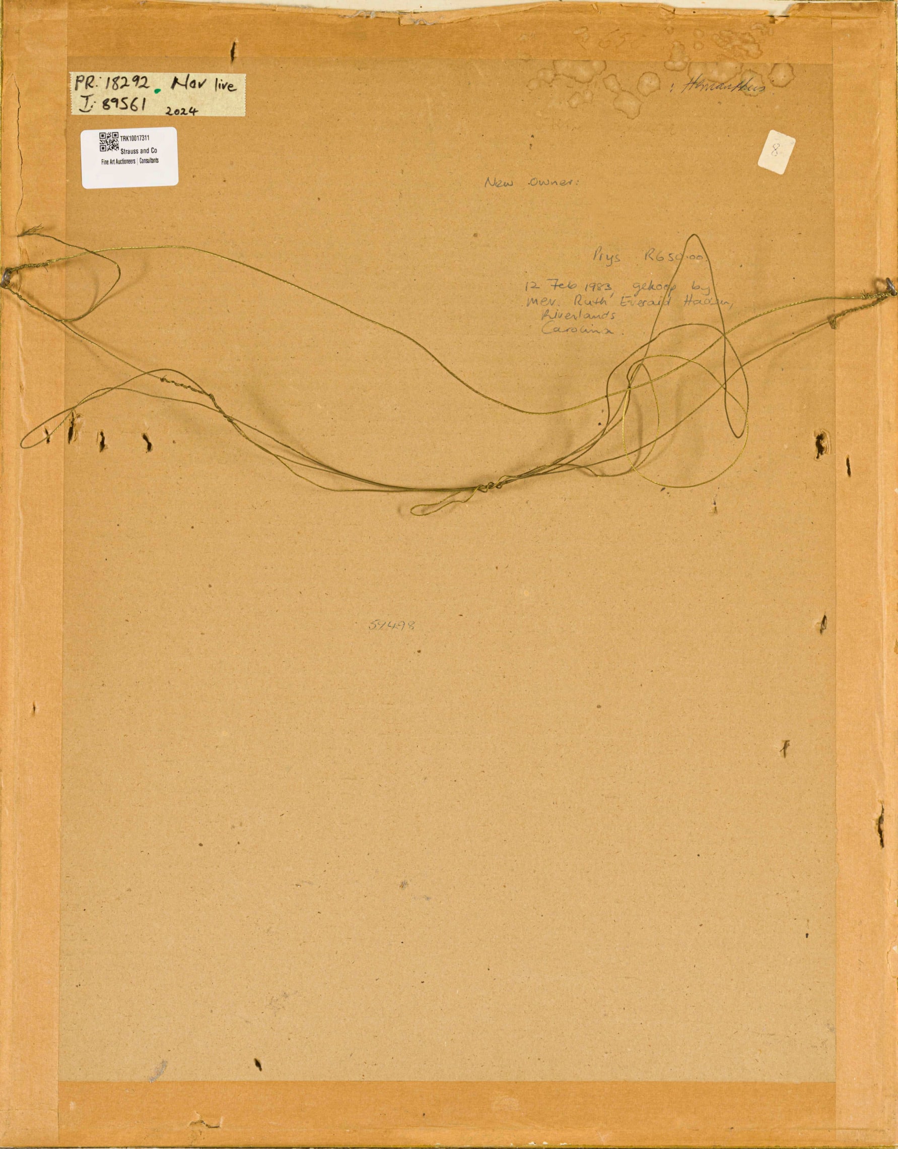 Haemanthus Coccineus (Paintbrush Lily) by Edith King | Strauss & Co