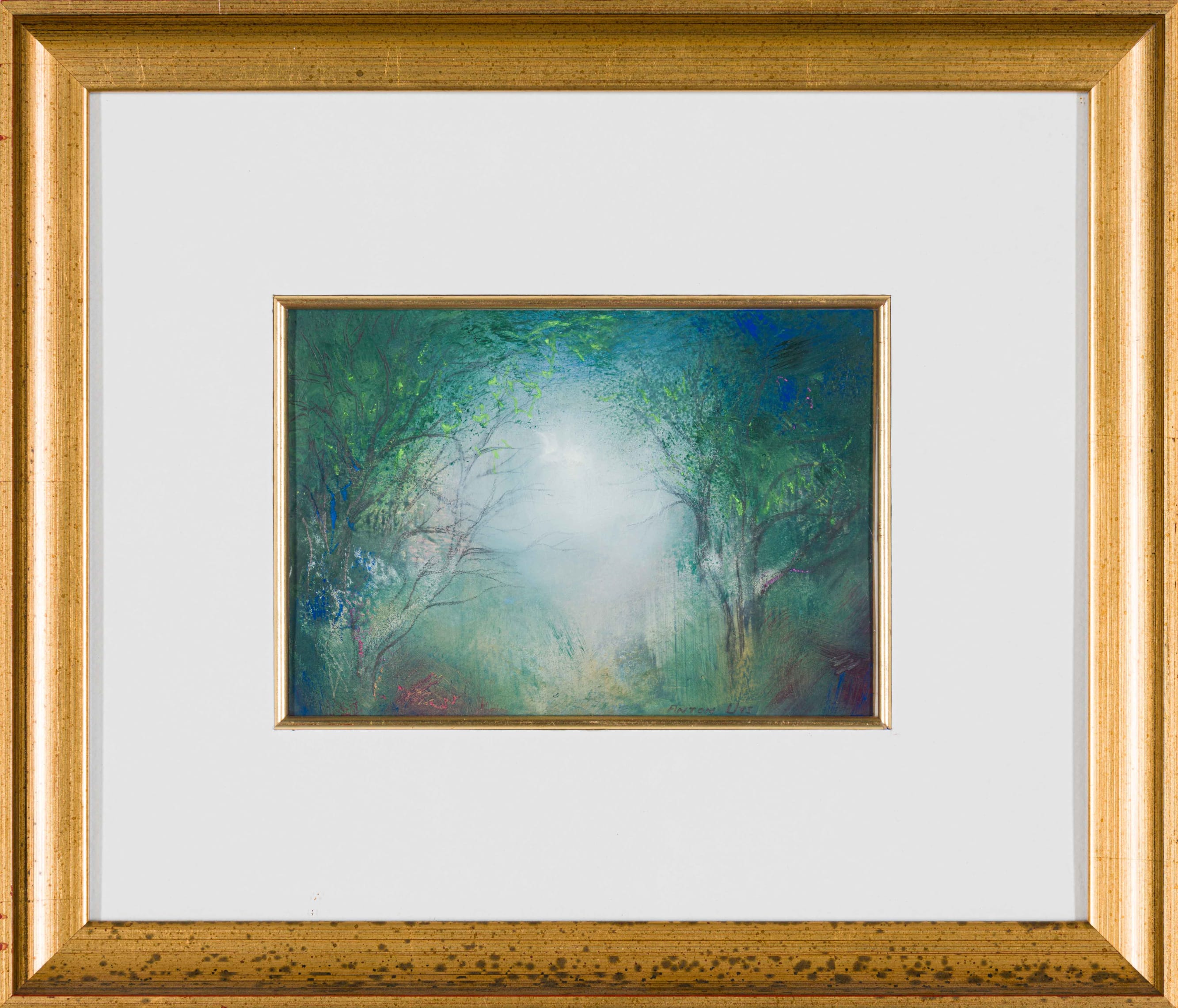Moonlight by Anton Uys | Strauss & Co