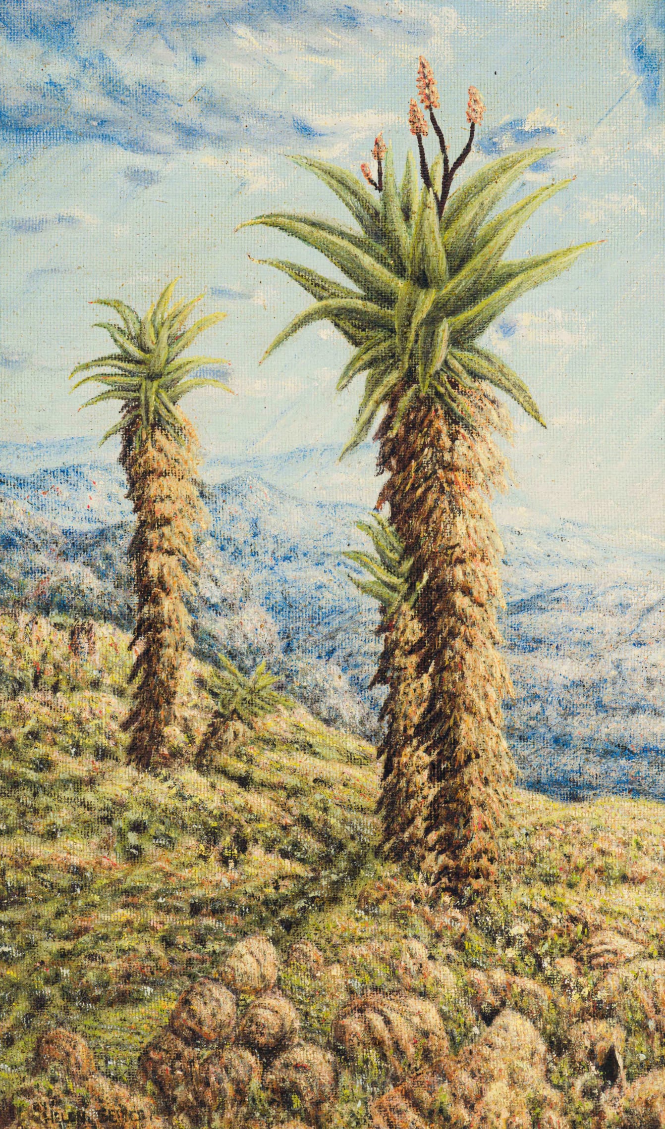 The Aloes, near Hebron, TVL by Mmakgabo Mmapula Helen Sebidi | Strauss & Co