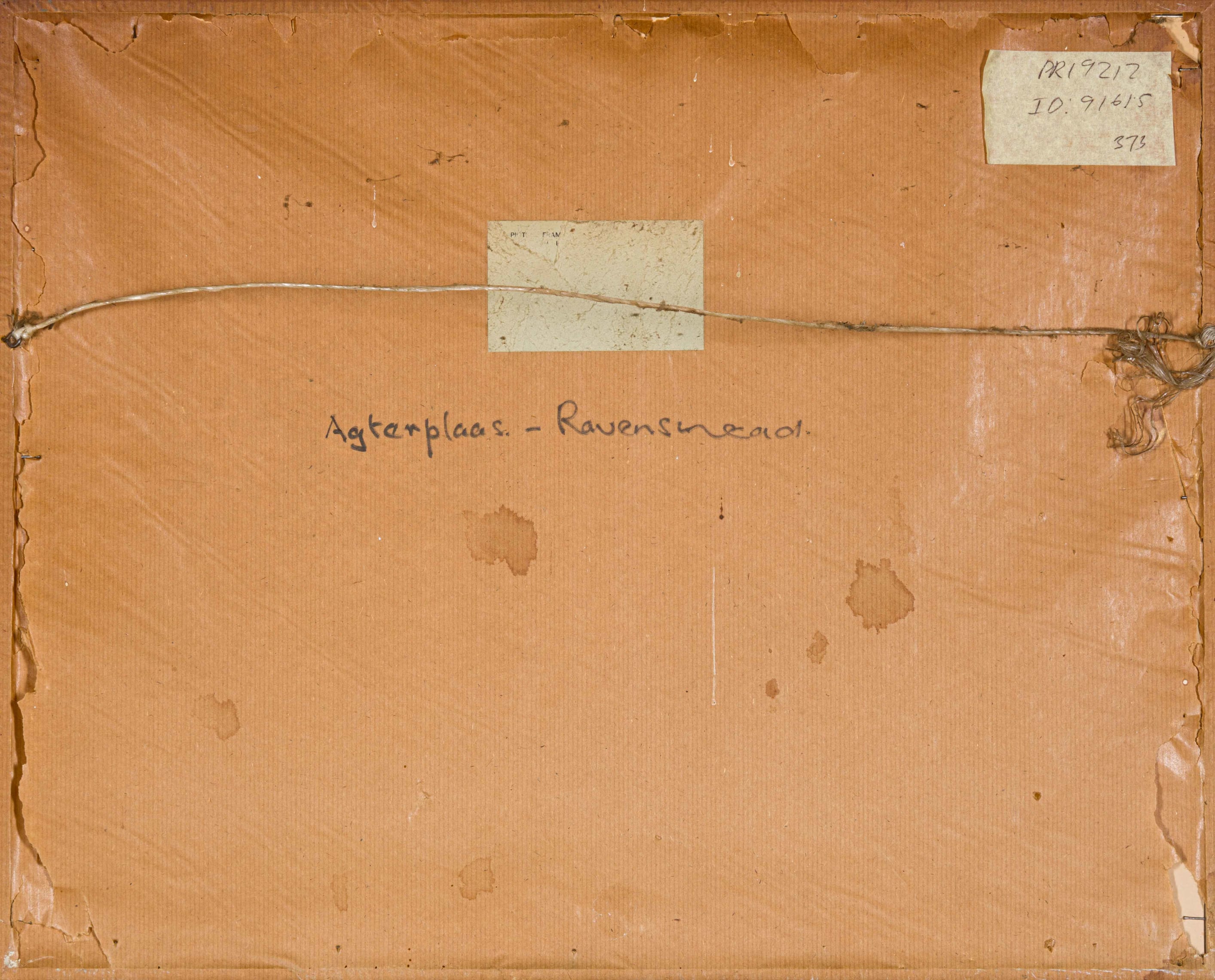 Agterplaas - Ravensmead by Conrad Theys | Strauss & Co