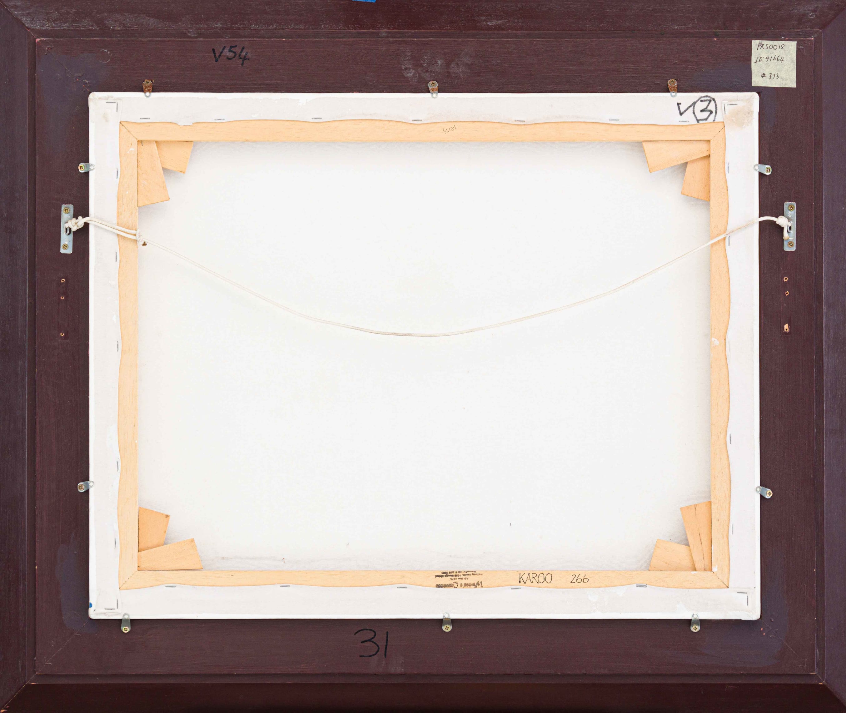 Karoo by Daan Vermeulen | Strauss & Co