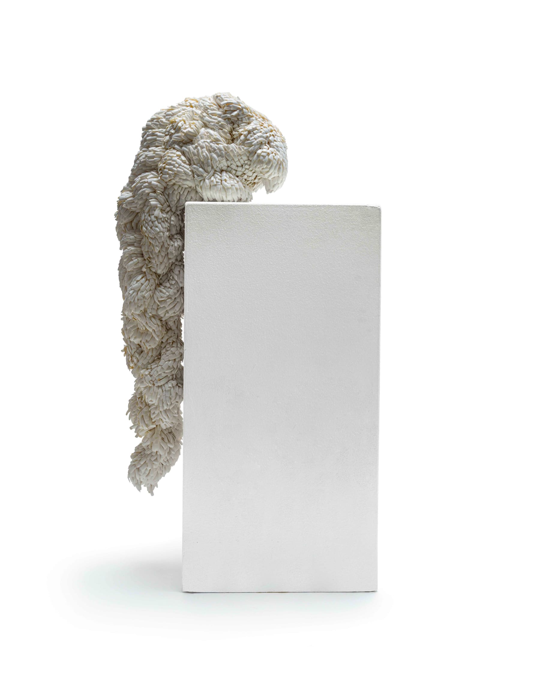 Below the Belt by Frances Goodman | Strauss & Co