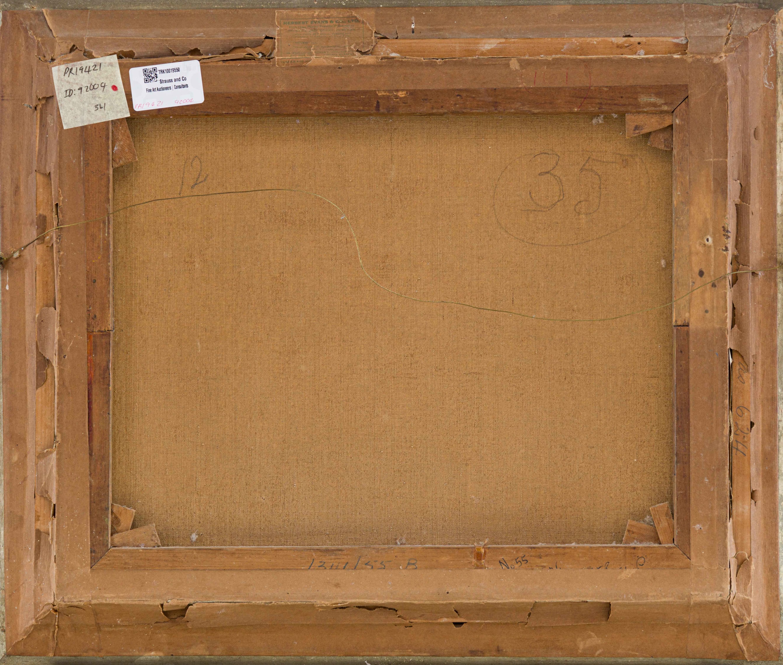 Daisies in a Vase by Emily Isabel Fern | Strauss & Co