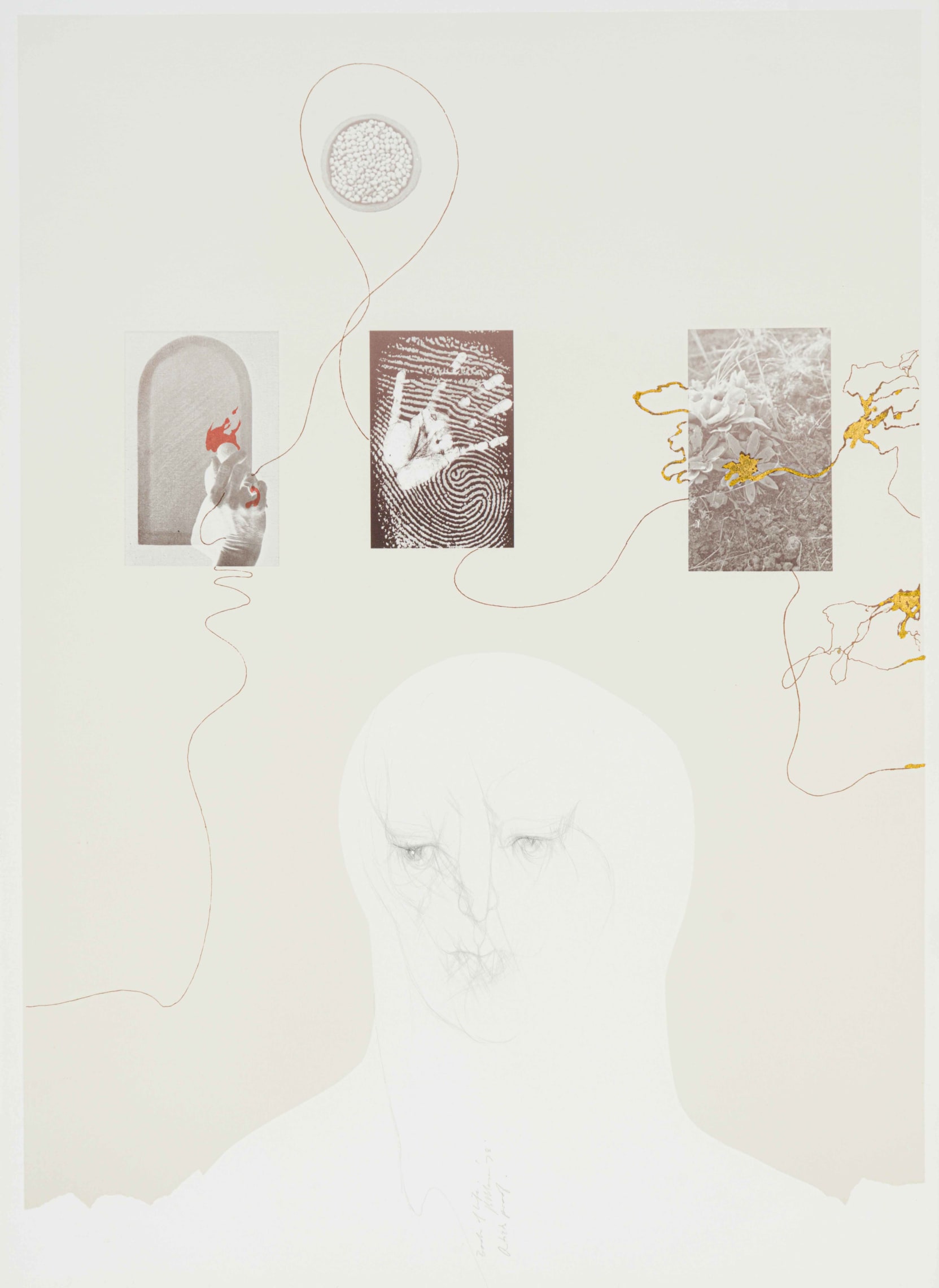 Book of Life by Judith Mason | Strauss & Co