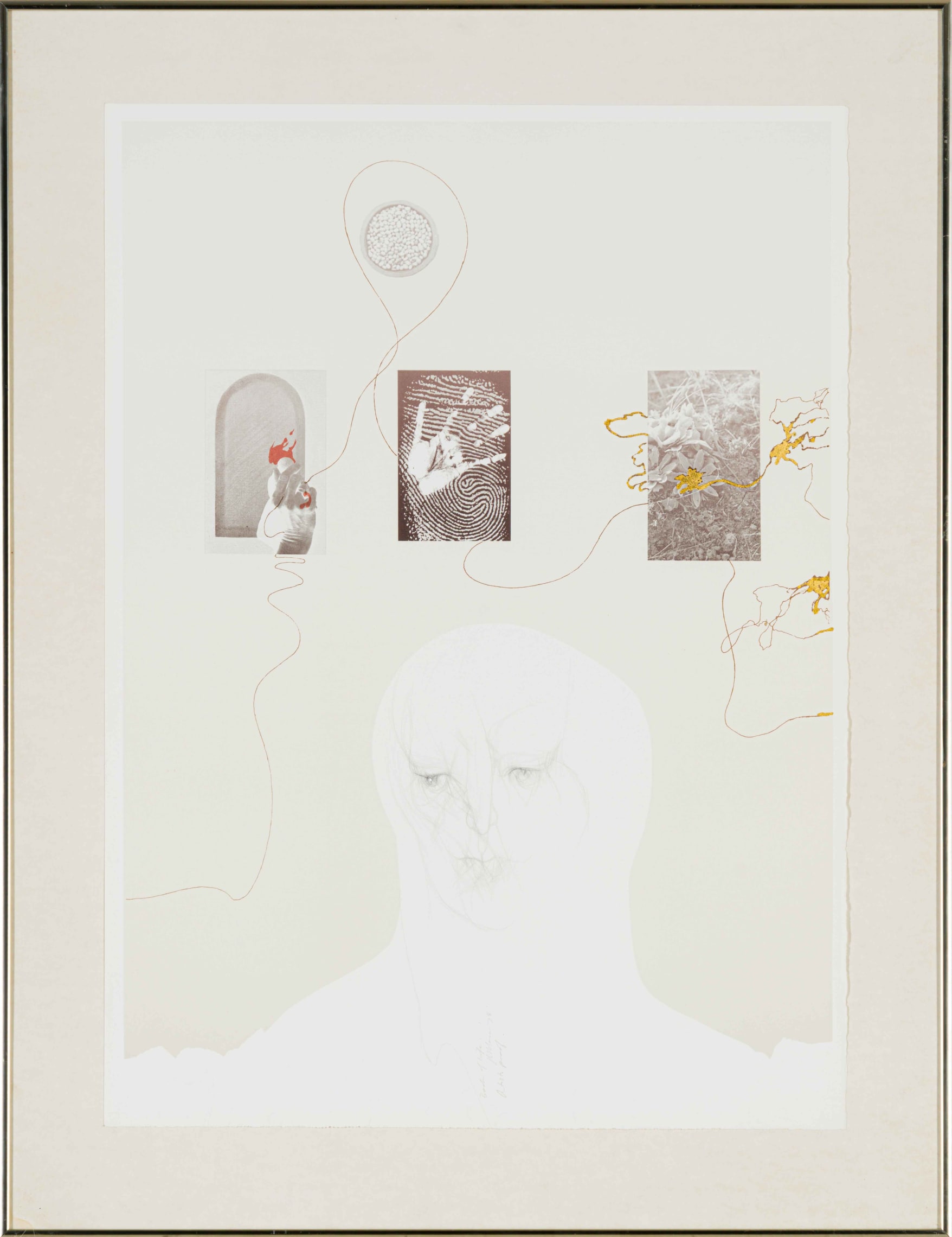 Book of Life by Judith Mason | Strauss & Co