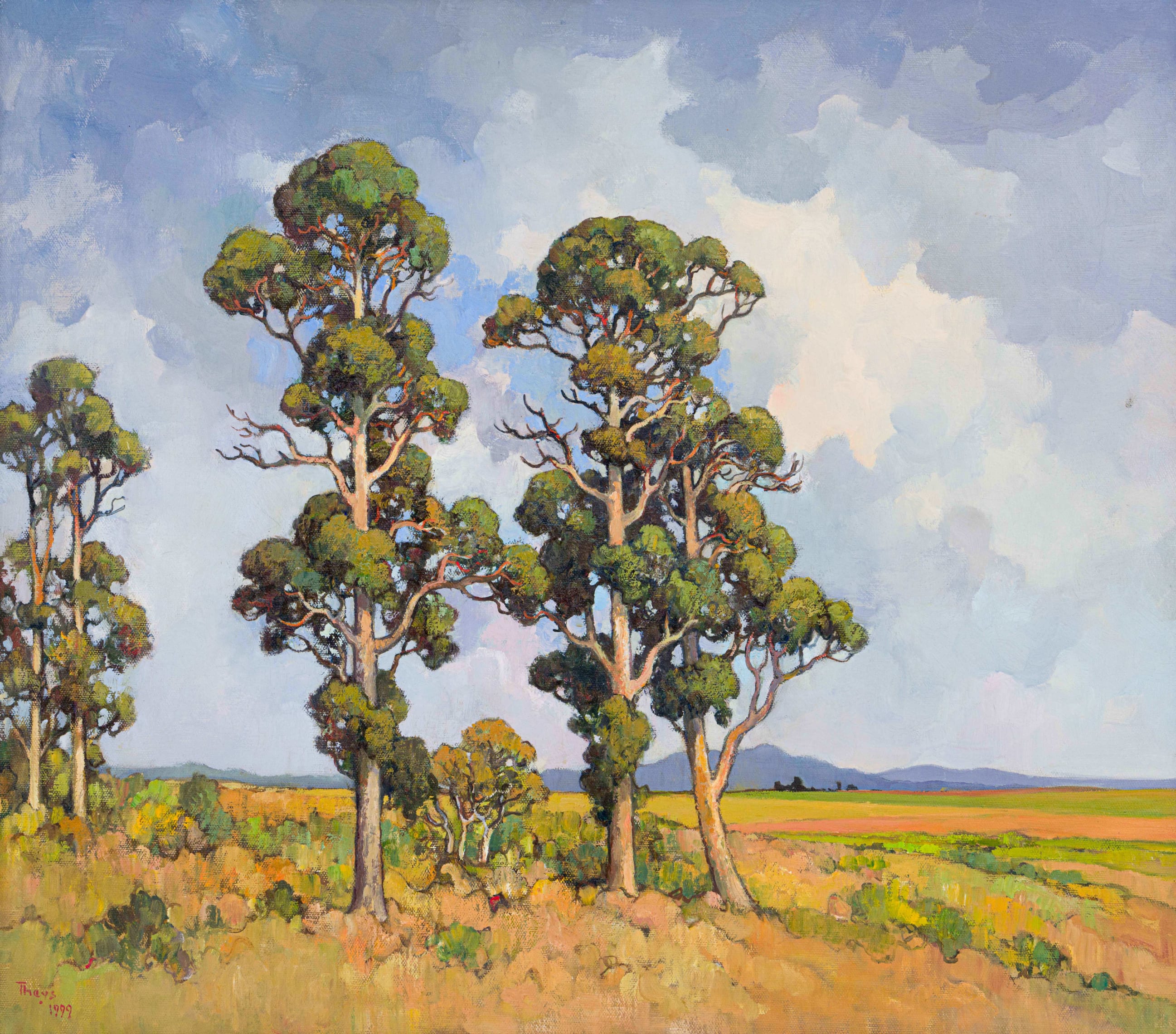 Bluegum Trees, Swartland by Conrad Theys | Strauss & Co