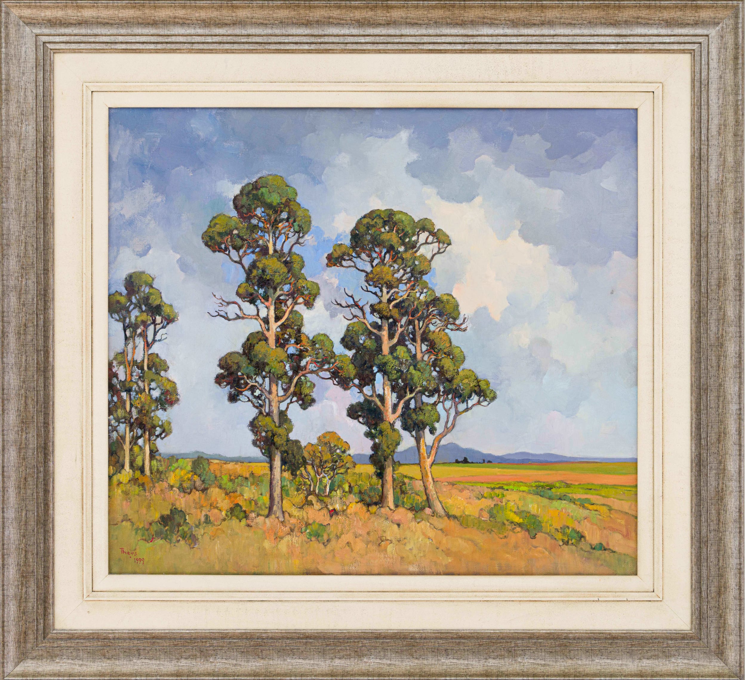 Bluegum Trees, Swartland by Conrad Theys | Strauss & Co