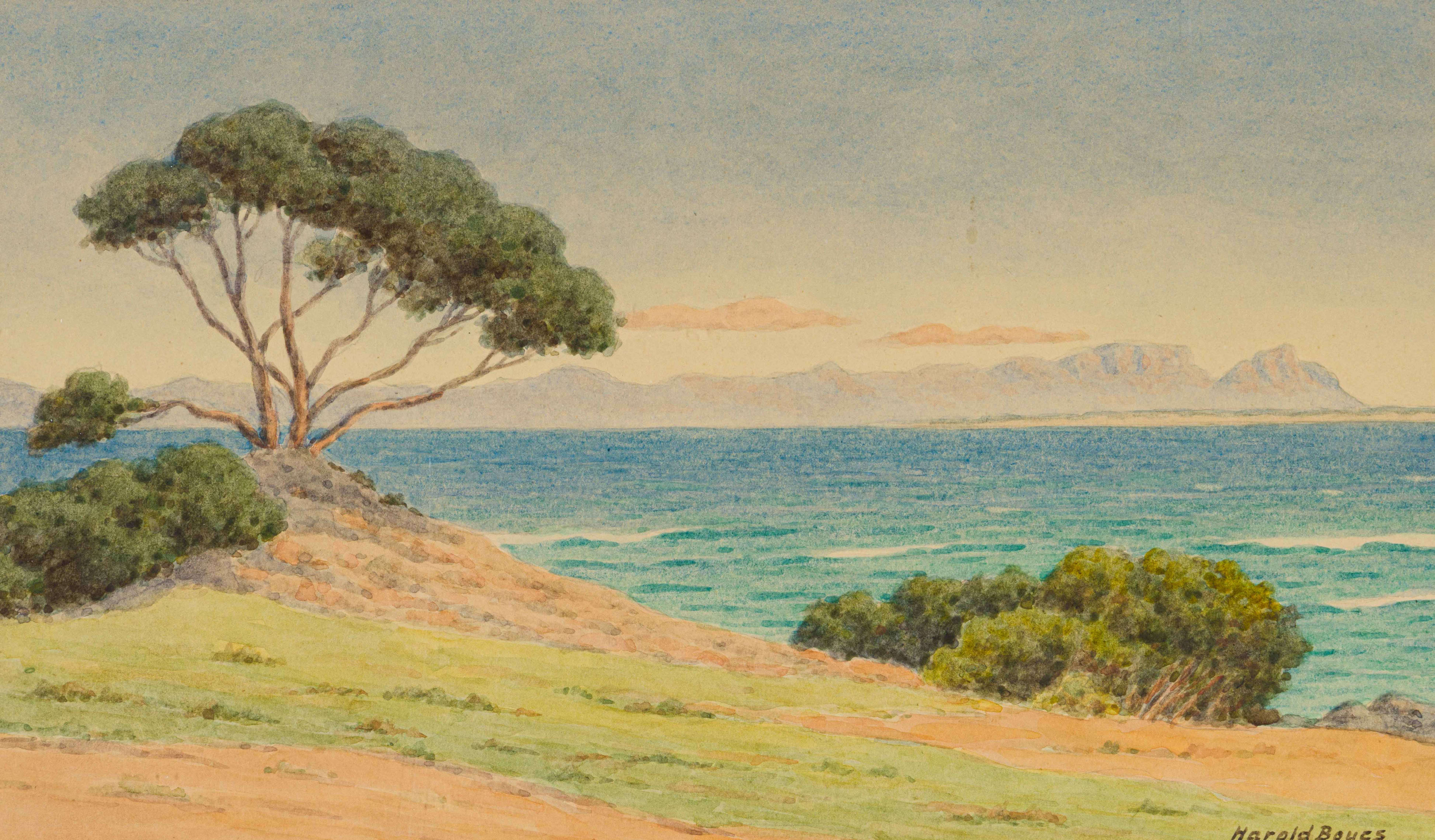 Coastal Landscape by Harold Boyes | Strauss & Co