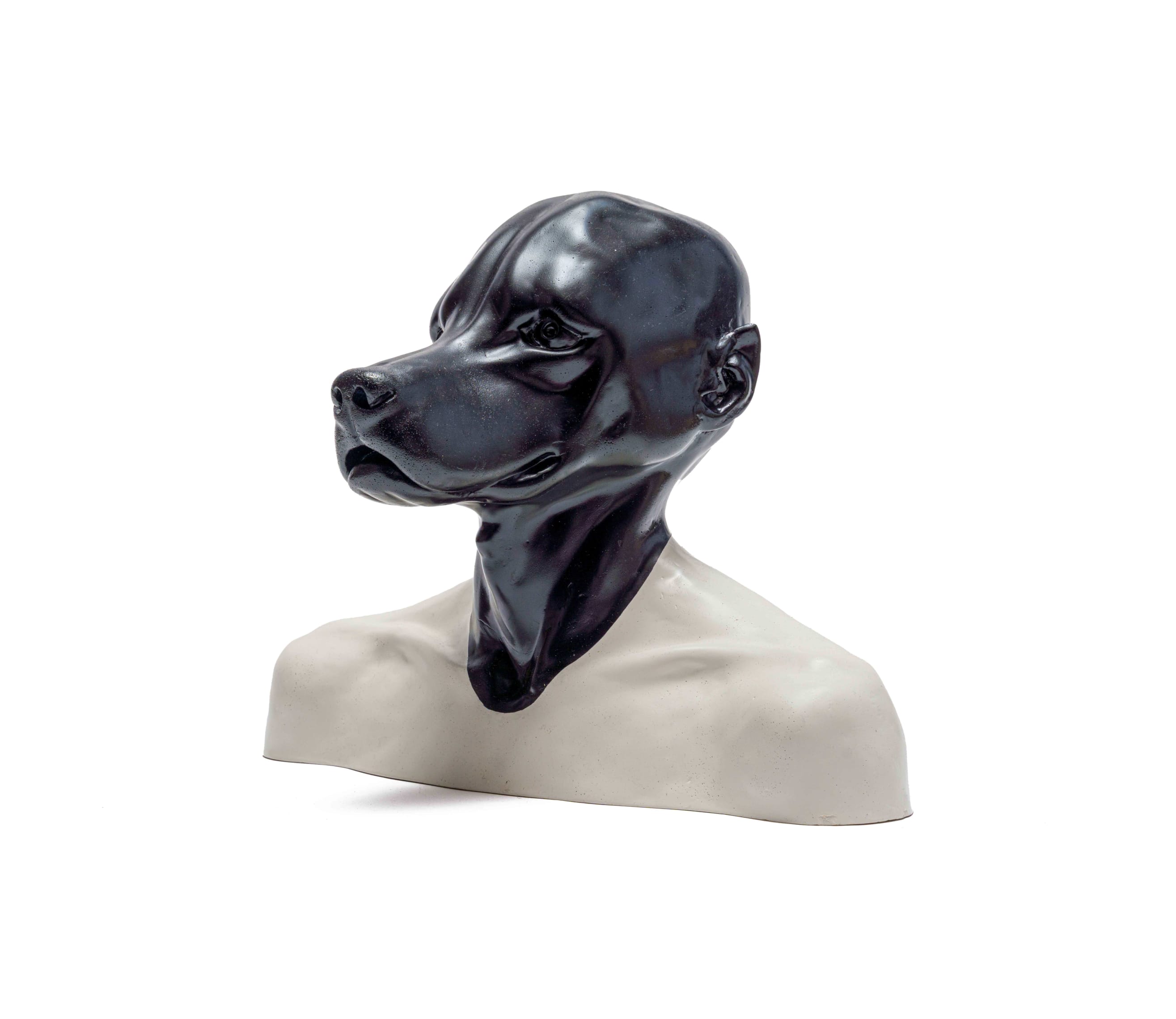 Dogman 2 by Beth Diane Armstrong | Strauss & Co