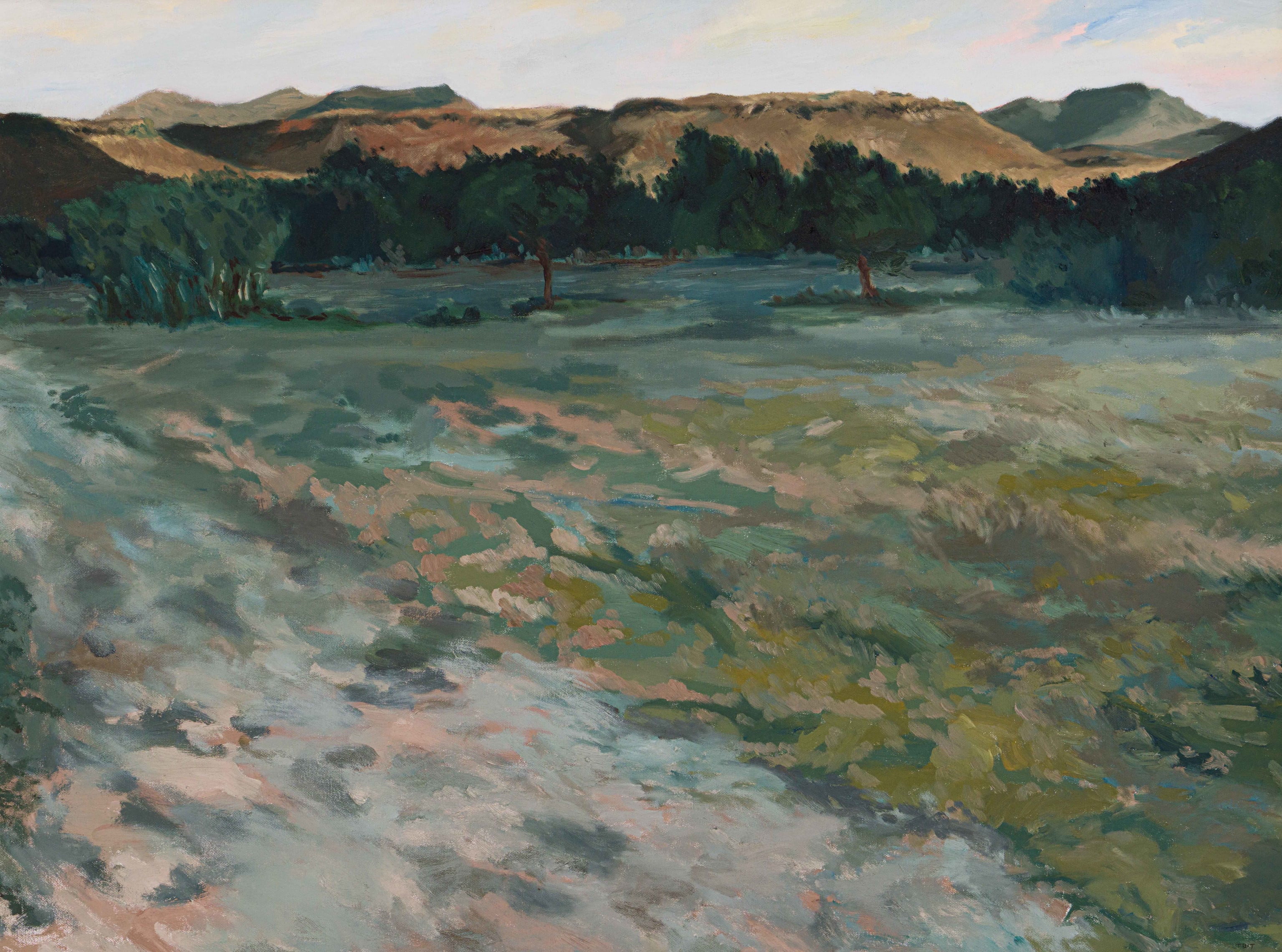 Letskraal I SA by Jan du Toit | Strauss & Co