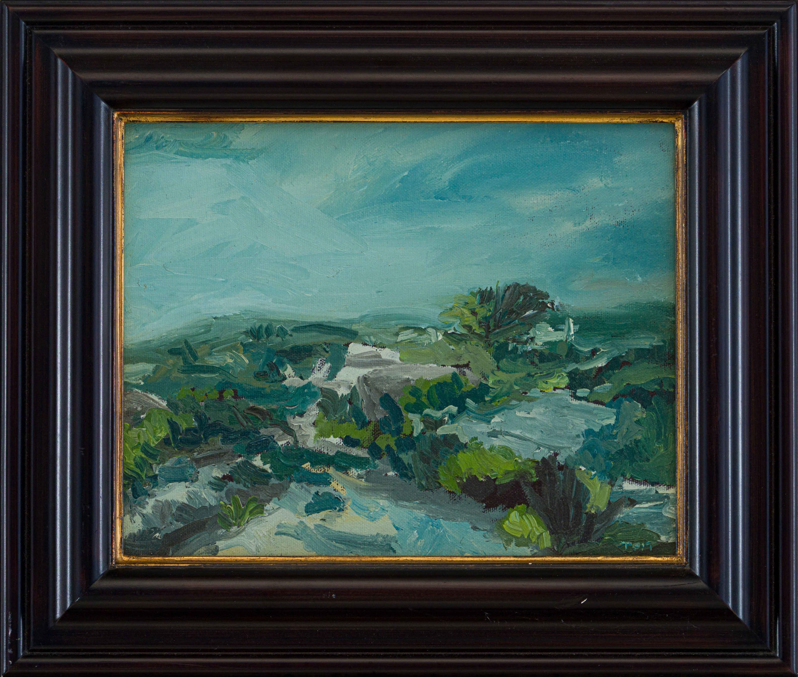 On Top of Table Mountain by Jan du Toit | Strauss & Co