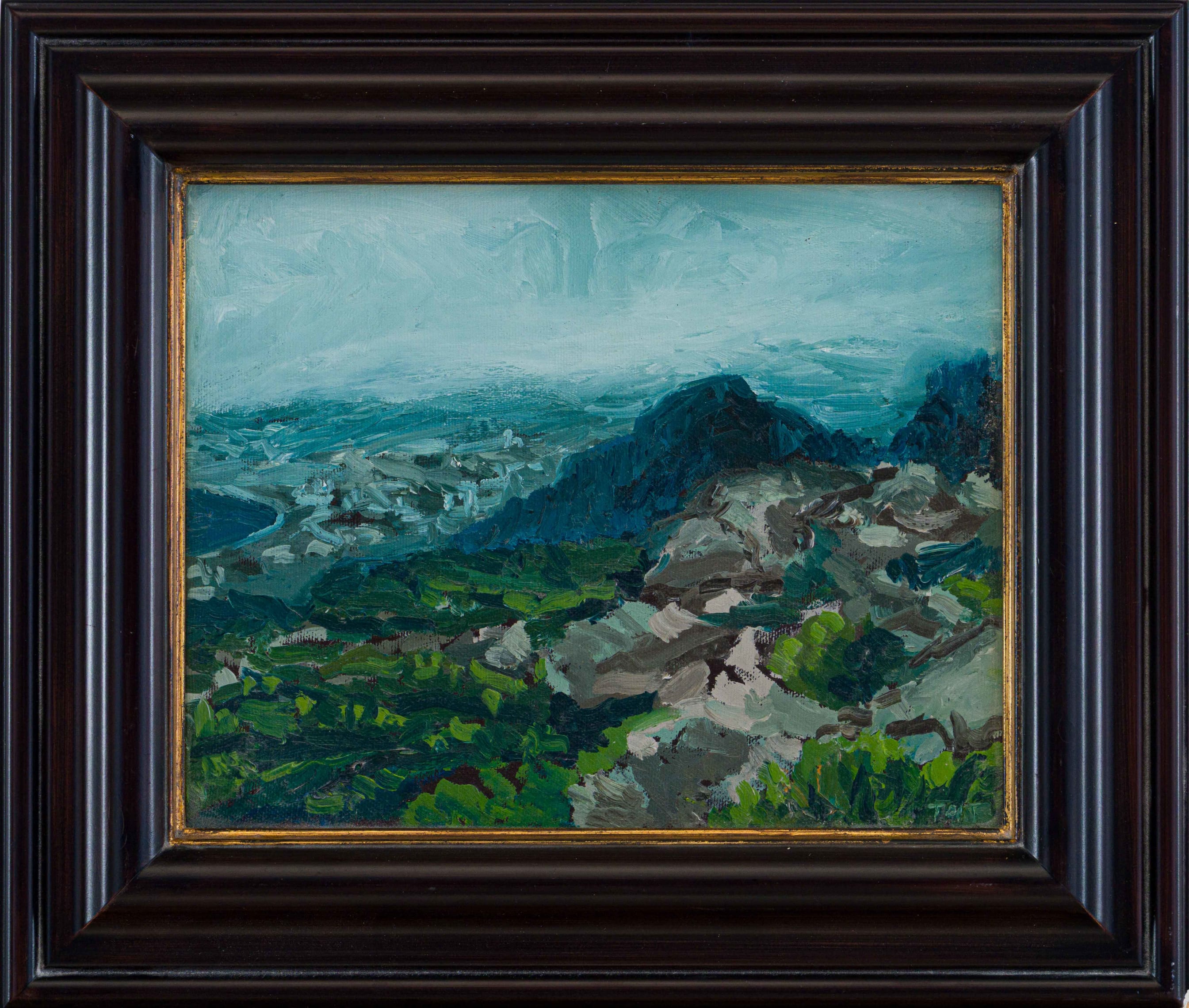 On Top of the Mountain - Table Mountain by Jan du Toit | Strauss & Co