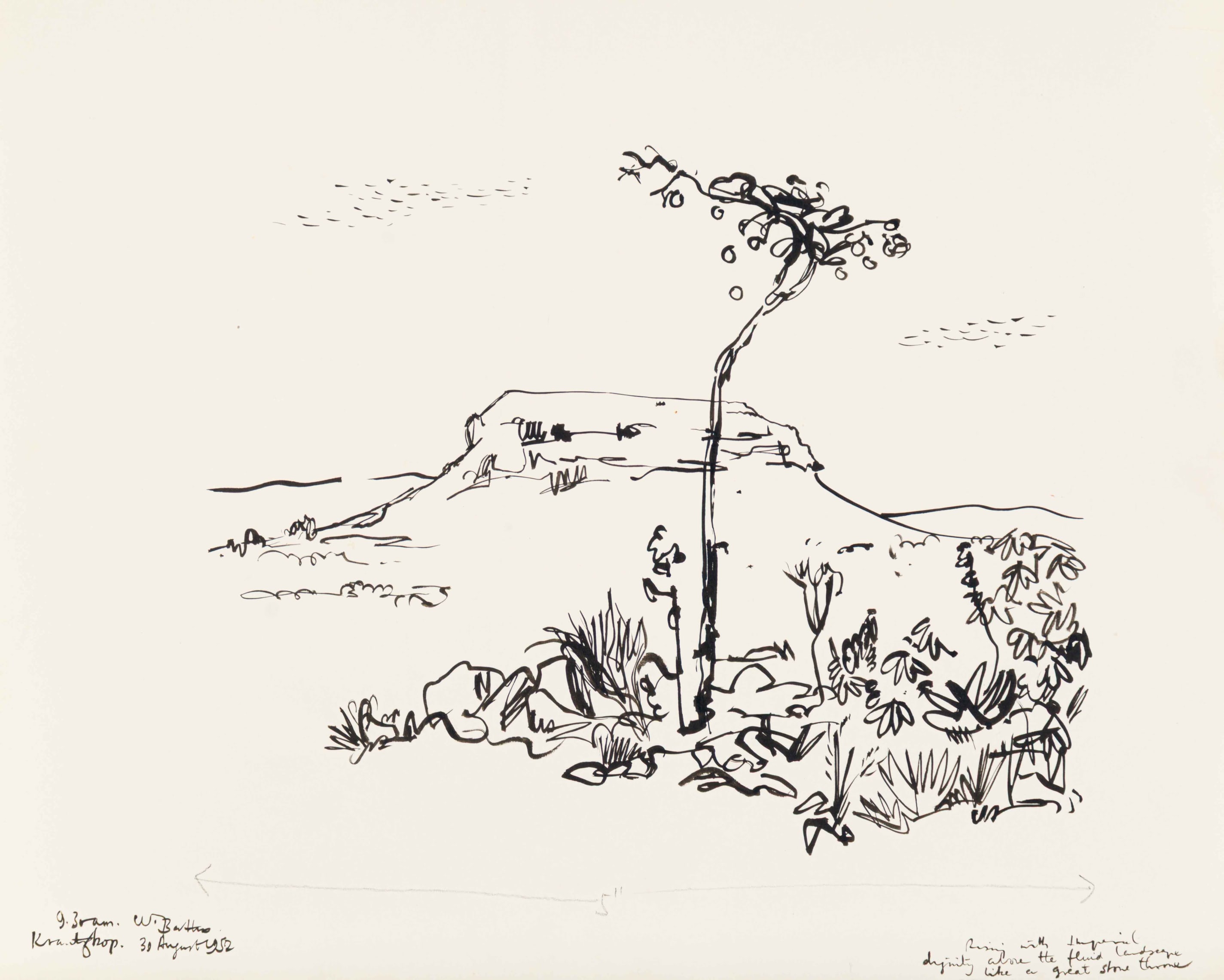 Limpopo First Edition, ten by Limpopo Drawings by Walter Battiss ...