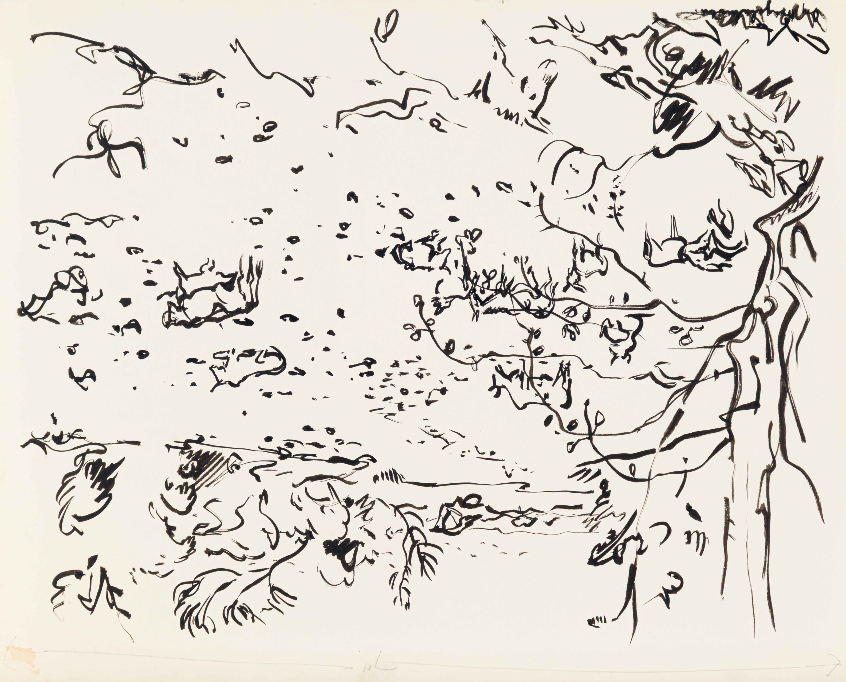Limpopo First Edition, ten by Limpopo Drawings by Walter Battiss ...