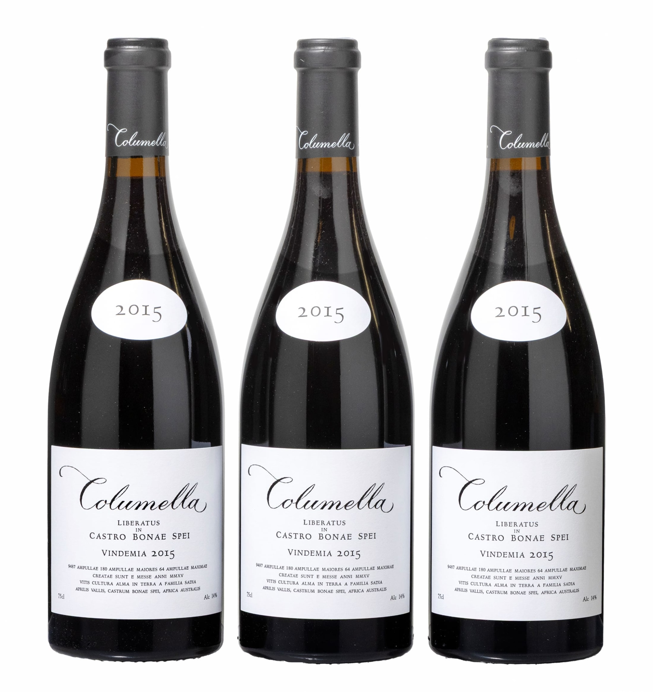 Columella 2015 3 (1 x 3) 750ml by Sadie Family | Strauss & Co