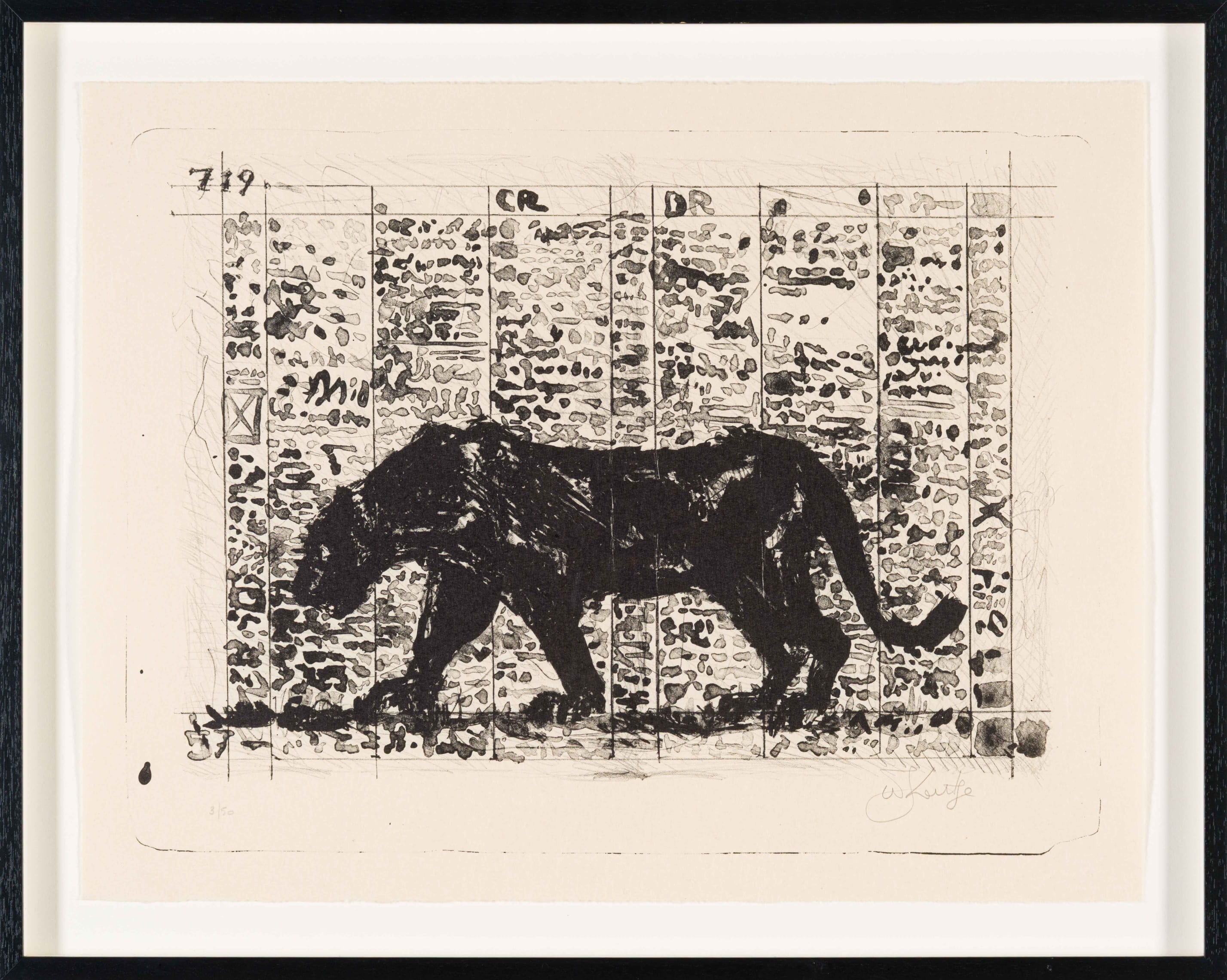 Panther by William Kentridge | Strauss & Co