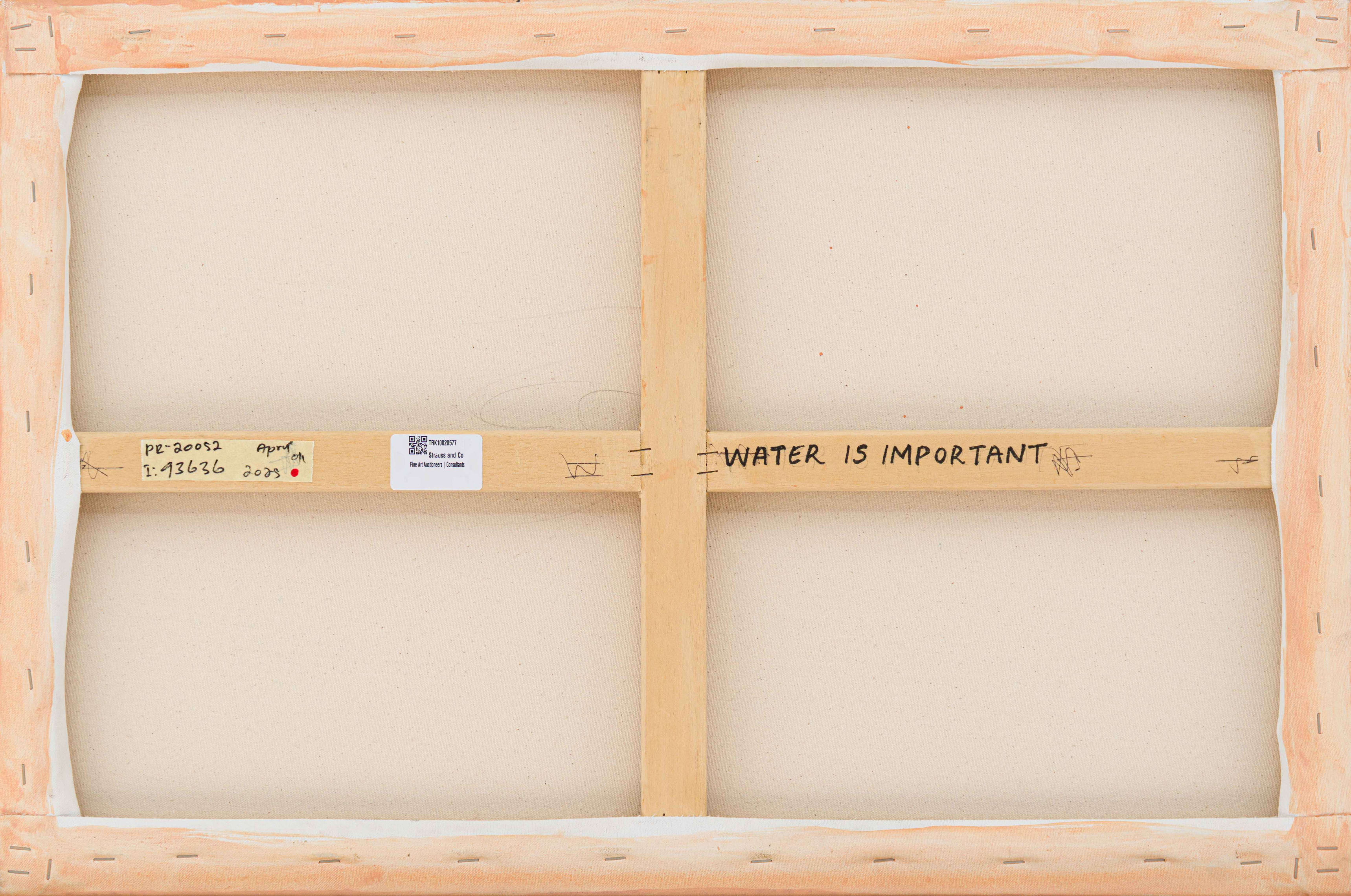 Water is Important by Sipho Ndlovu | Strauss & Co