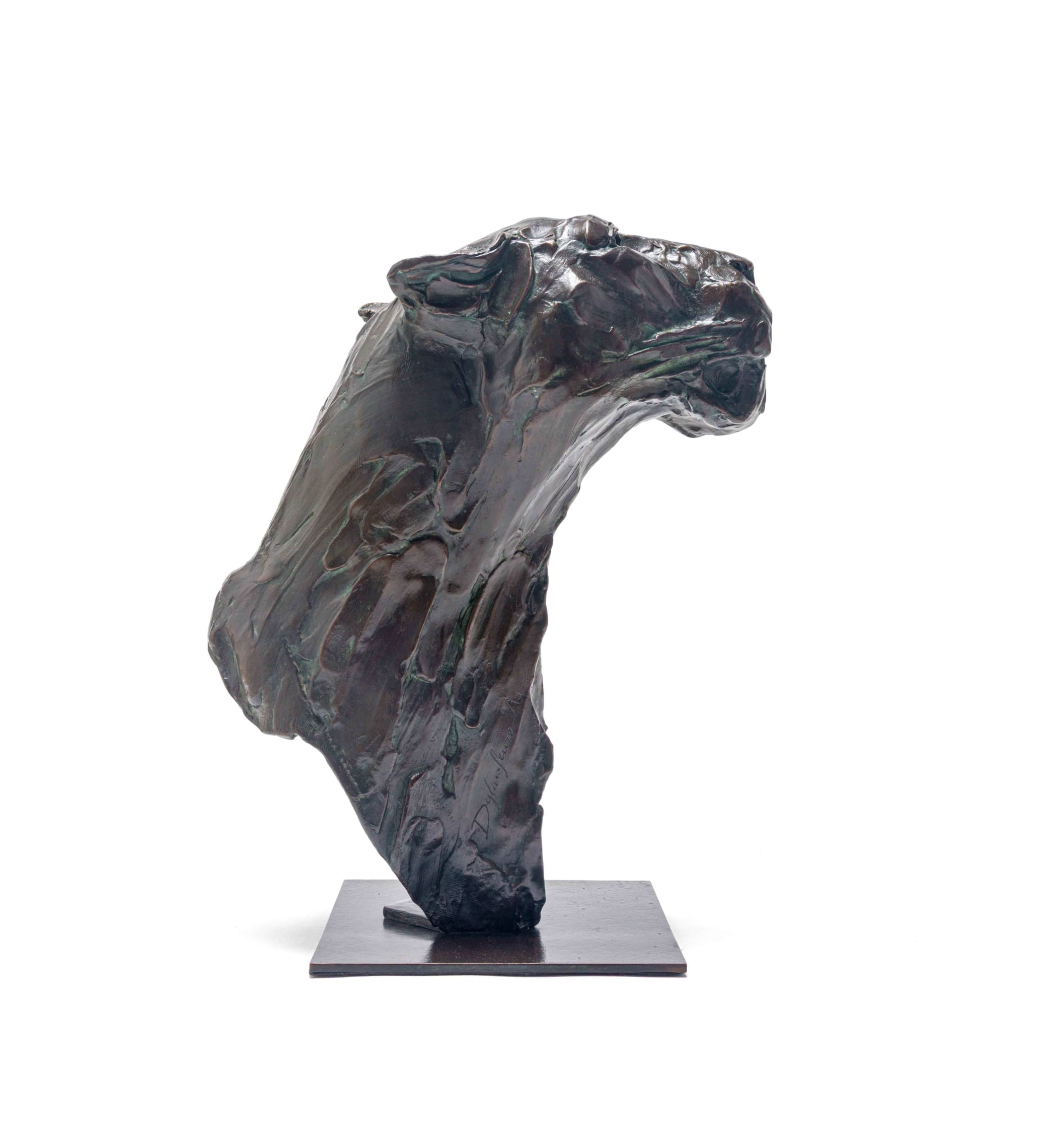 Leopard Head (S127) by Dylan Lewis | Strauss & Co