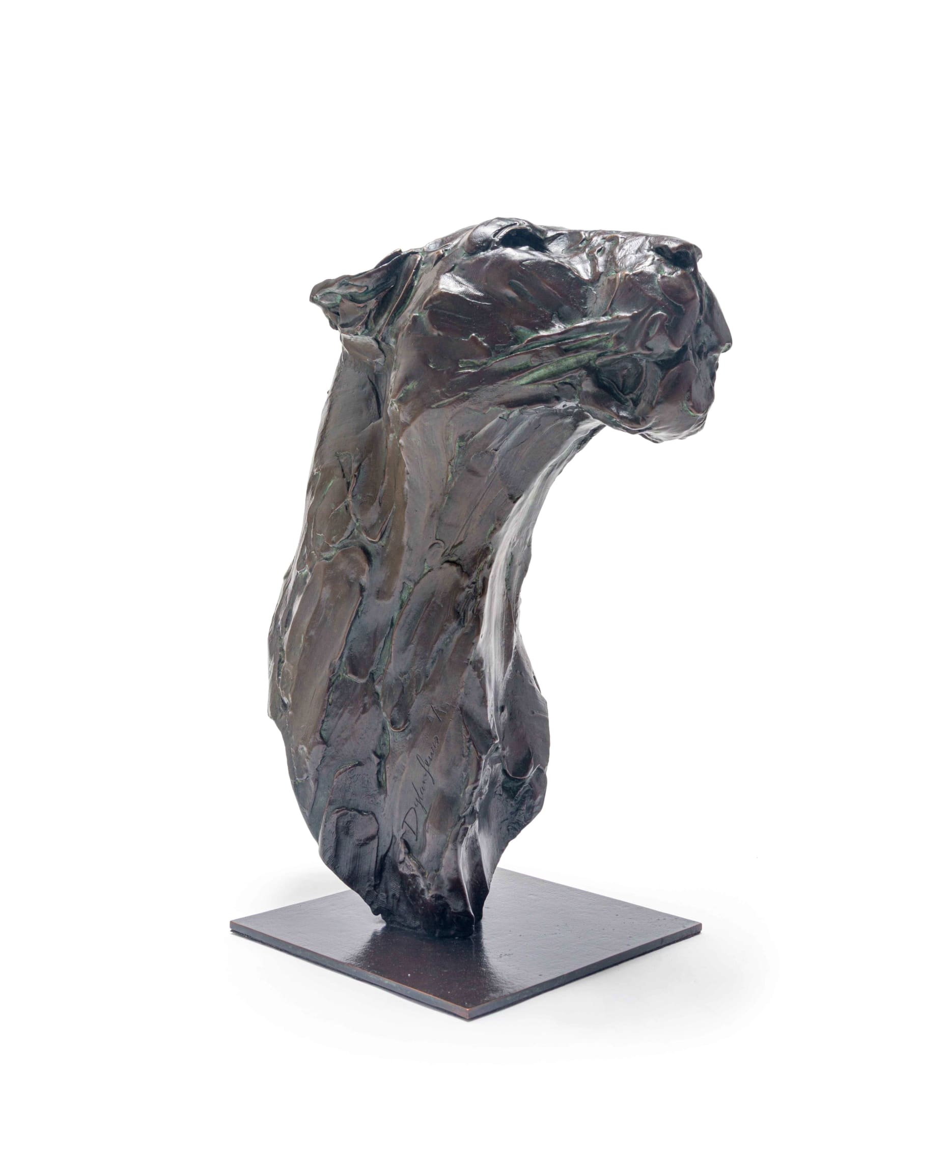Leopard Head (S127) by Dylan Lewis | Strauss & Co