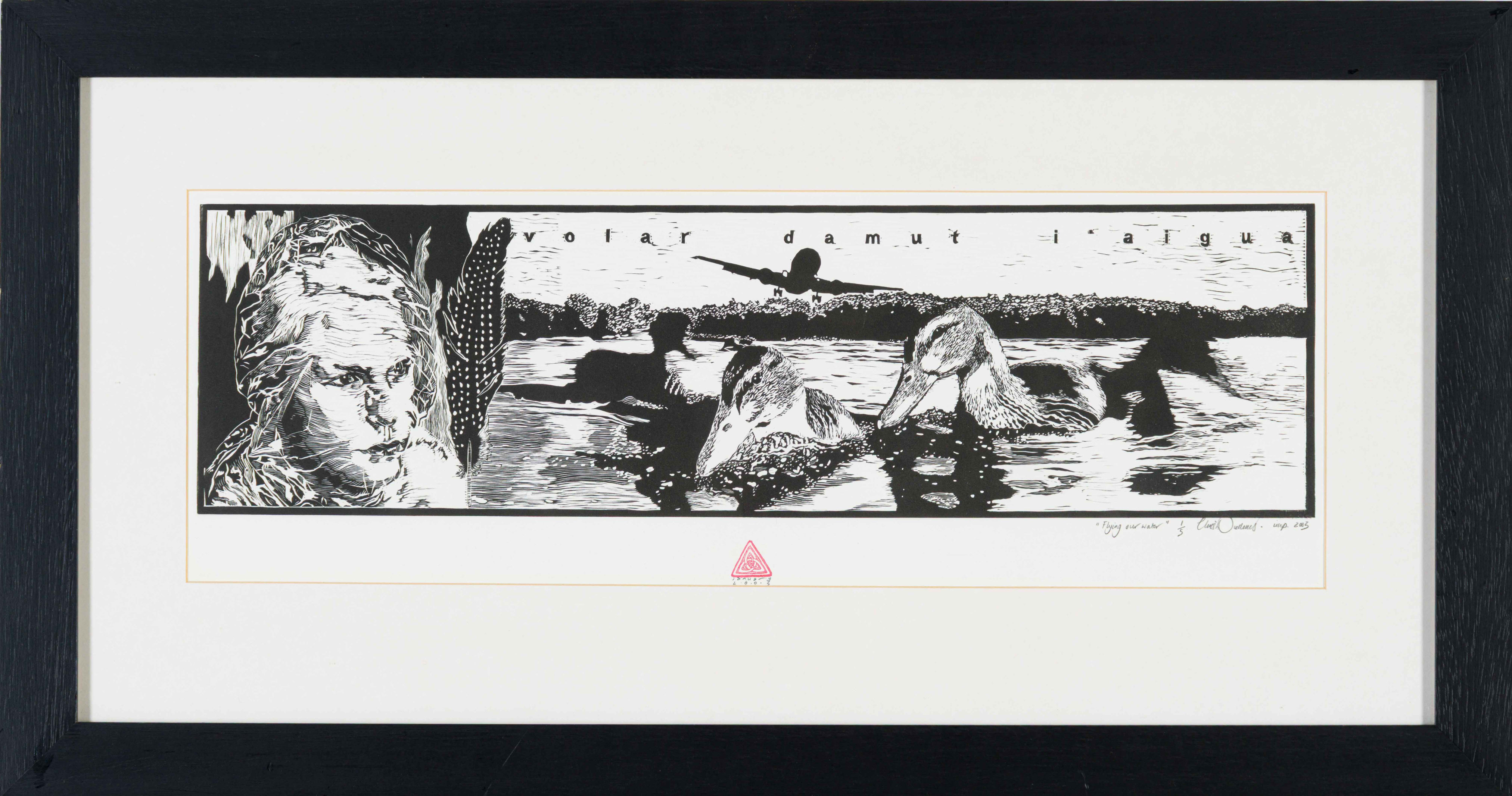 Flying over Water by Christiaan Diedericks | Strauss & Co