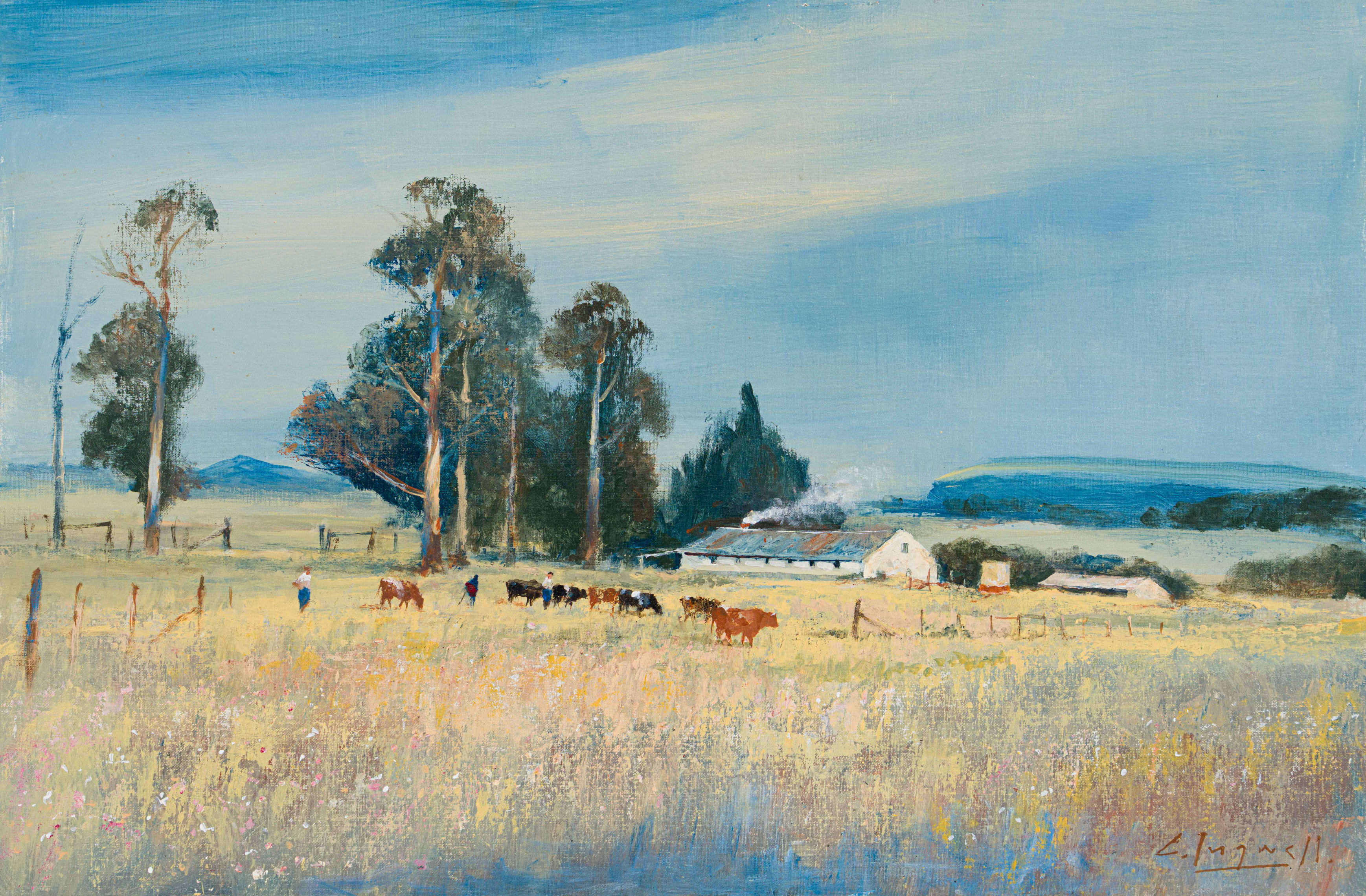 Bluegum Farm by Christopher Tugwell | Strauss & Co