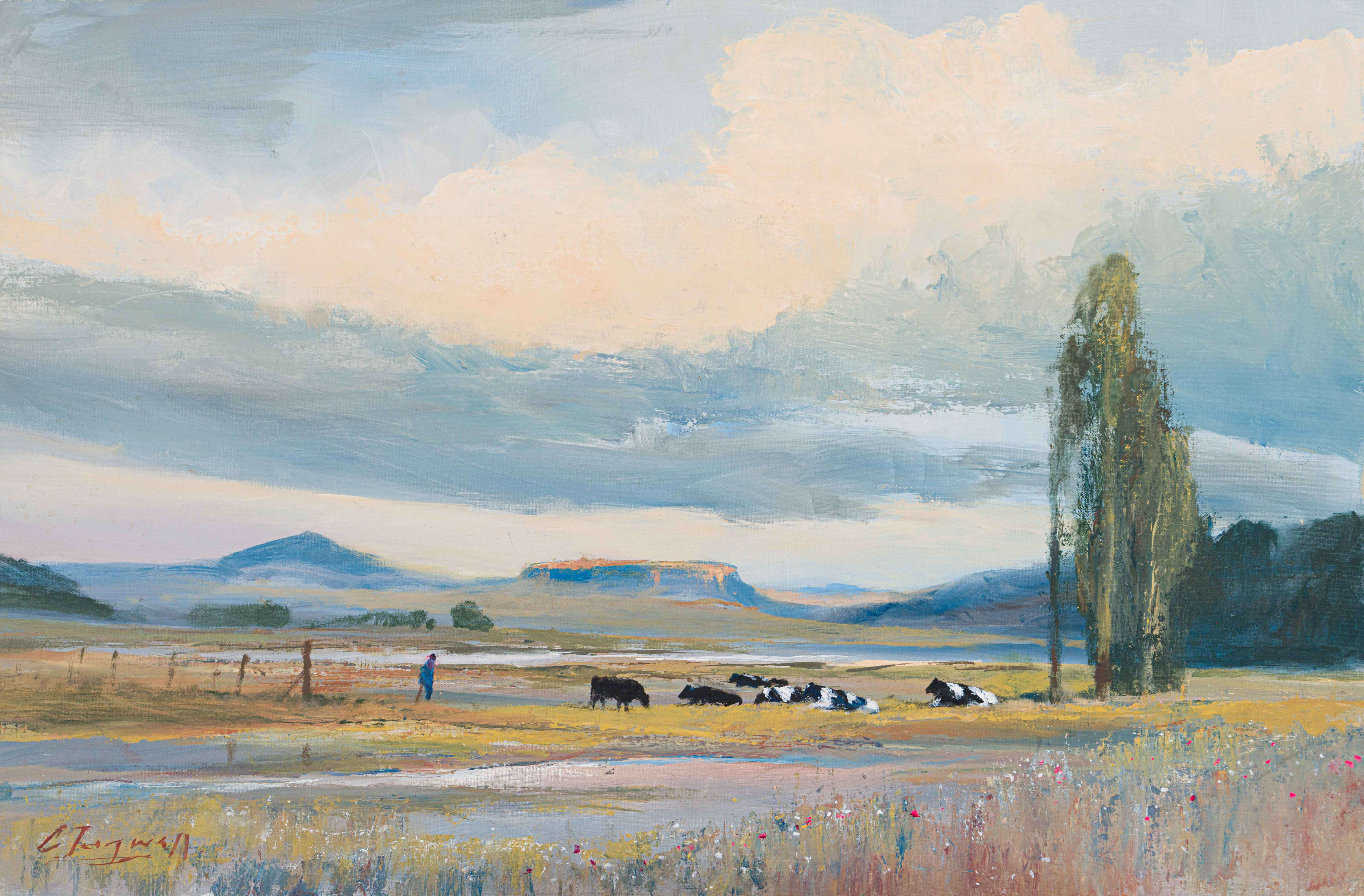 Cattle Resting amongst Poplars in the Early Morning by Christopher ...