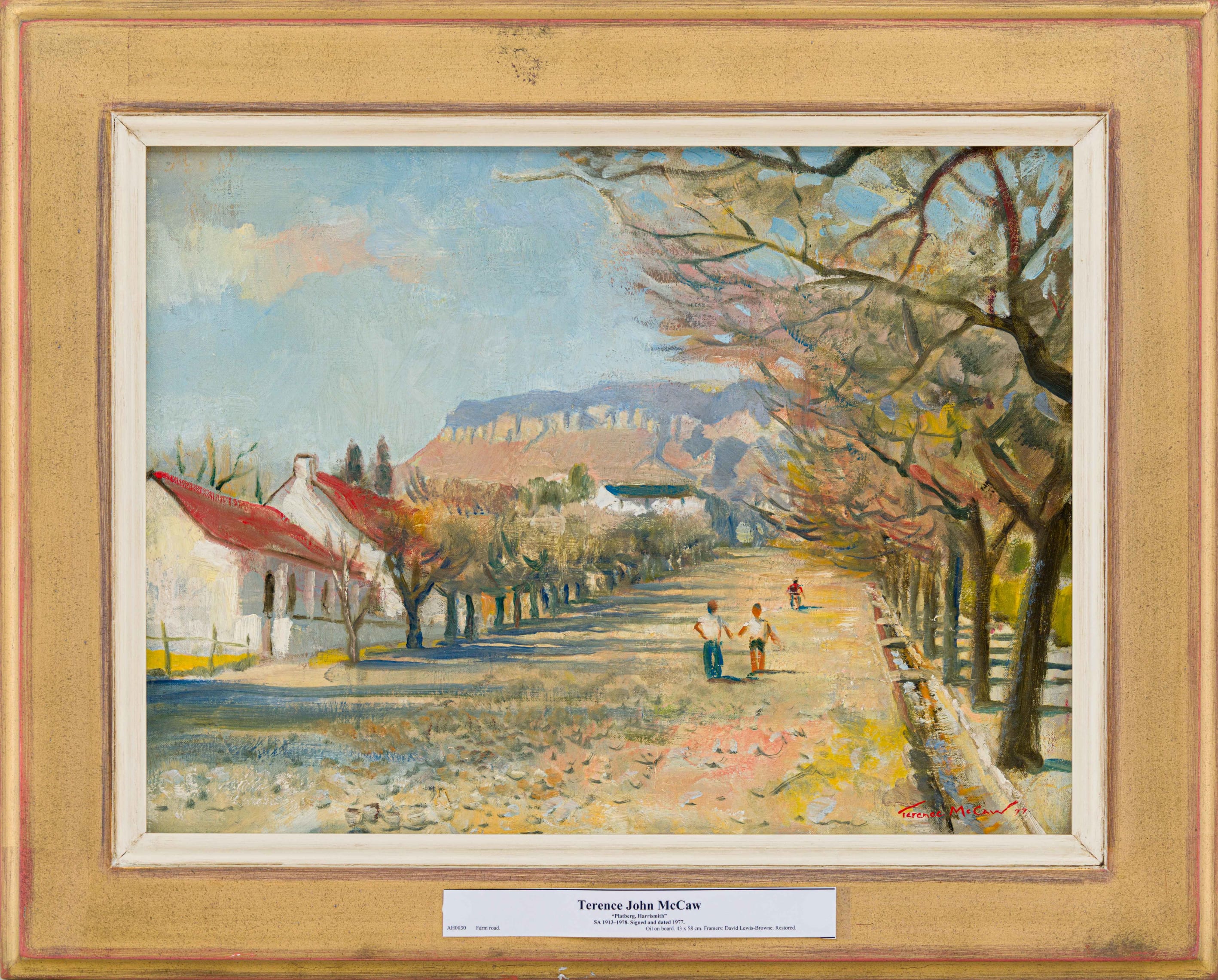 Platberg, Harrismith by Terence McCaw | Strauss & Co