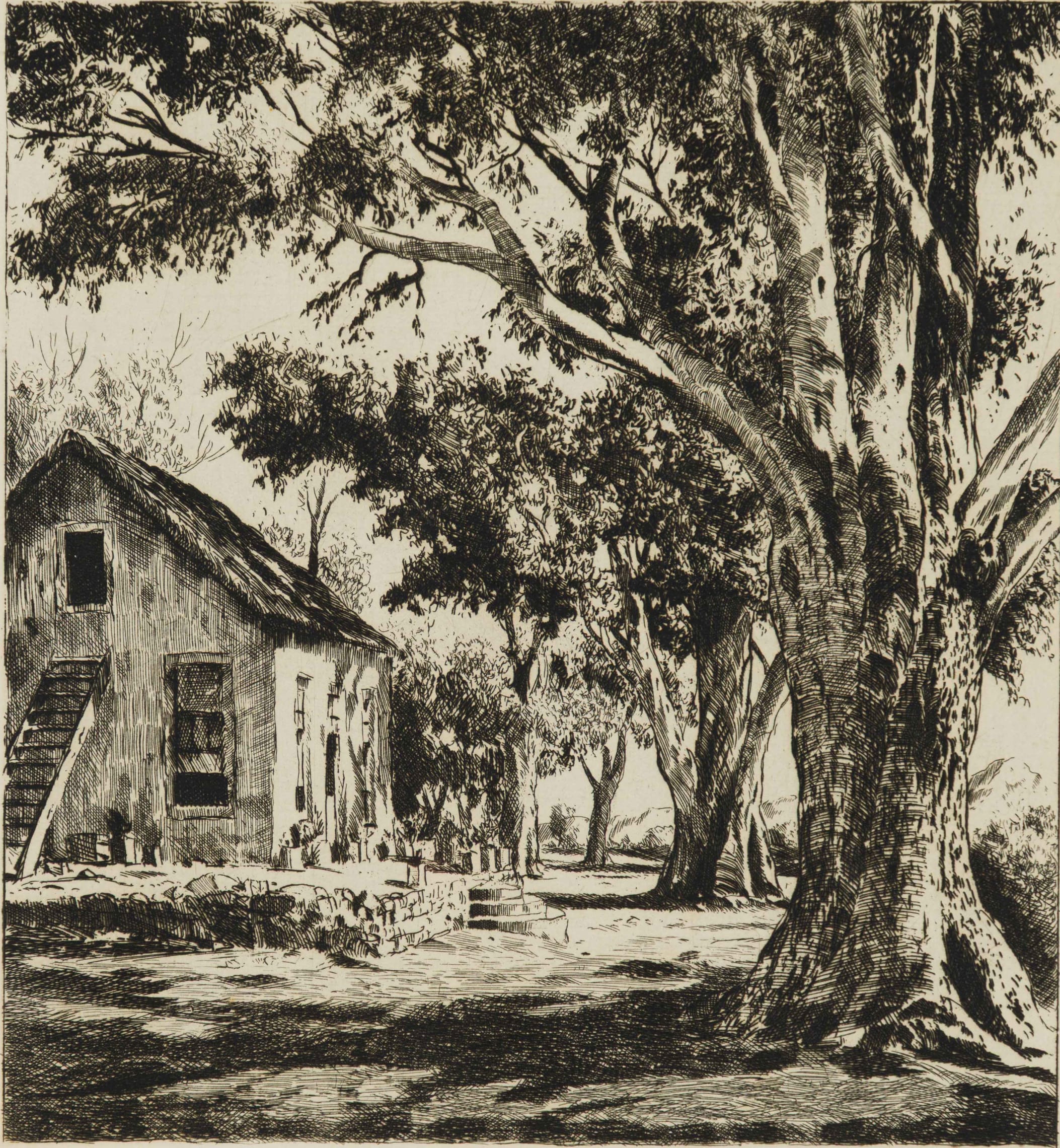 The Old Tree, Hout Bay by Tinus de Jongh | Strauss & Co