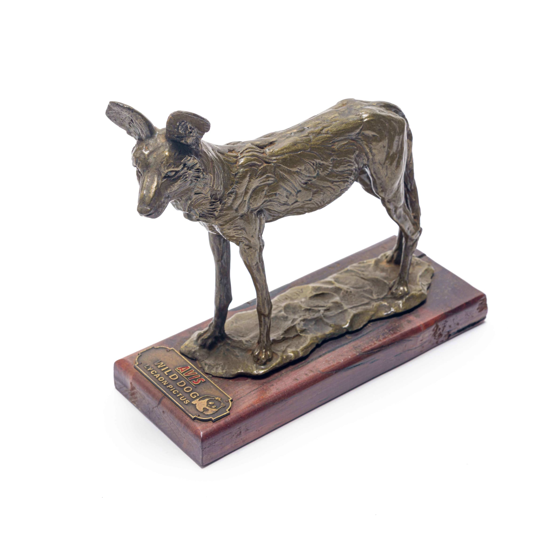 Wild Dog by Arend Eloff | Strauss & Co