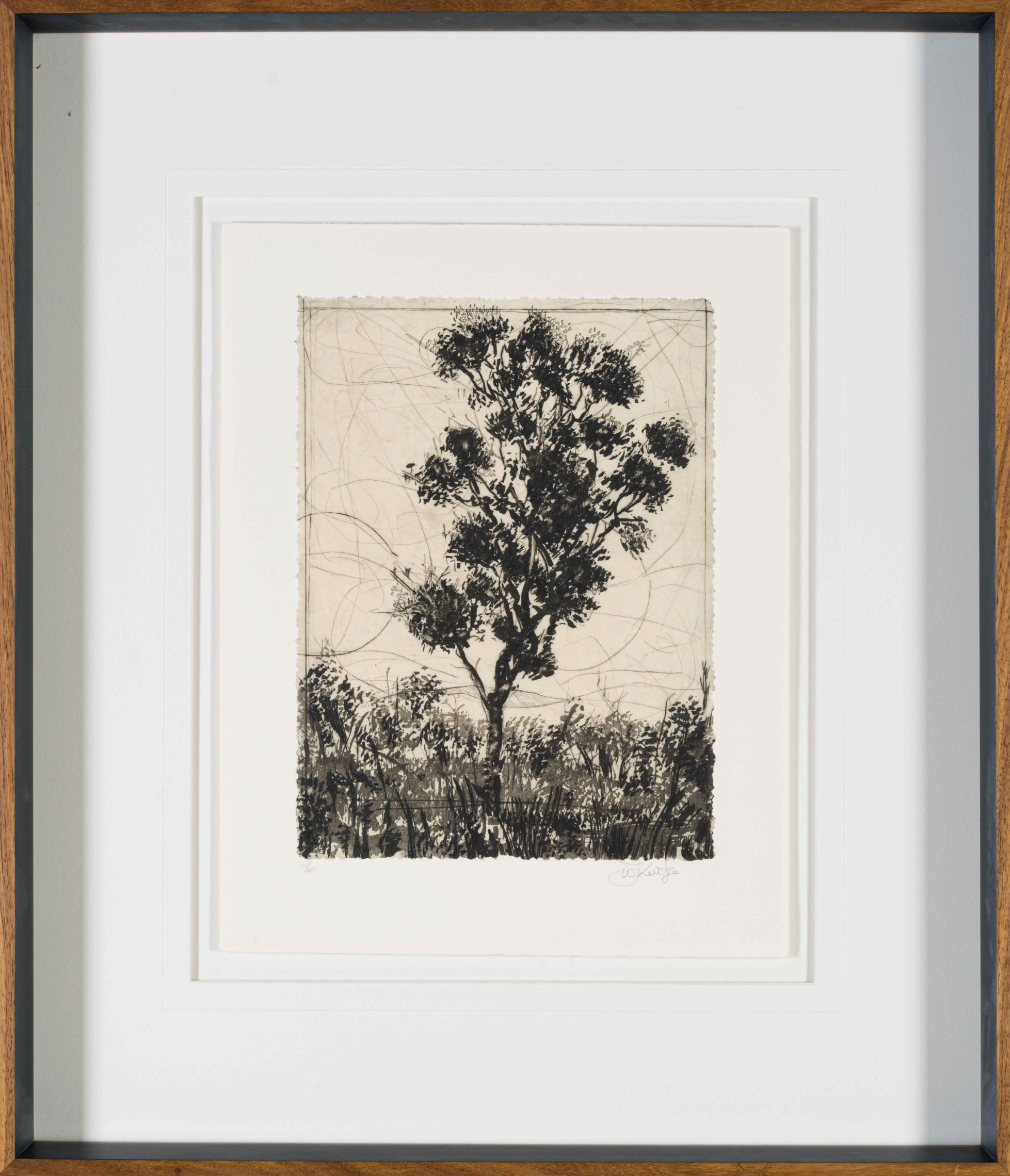 Bushveld Tree by William Kentridge | Strauss & Co