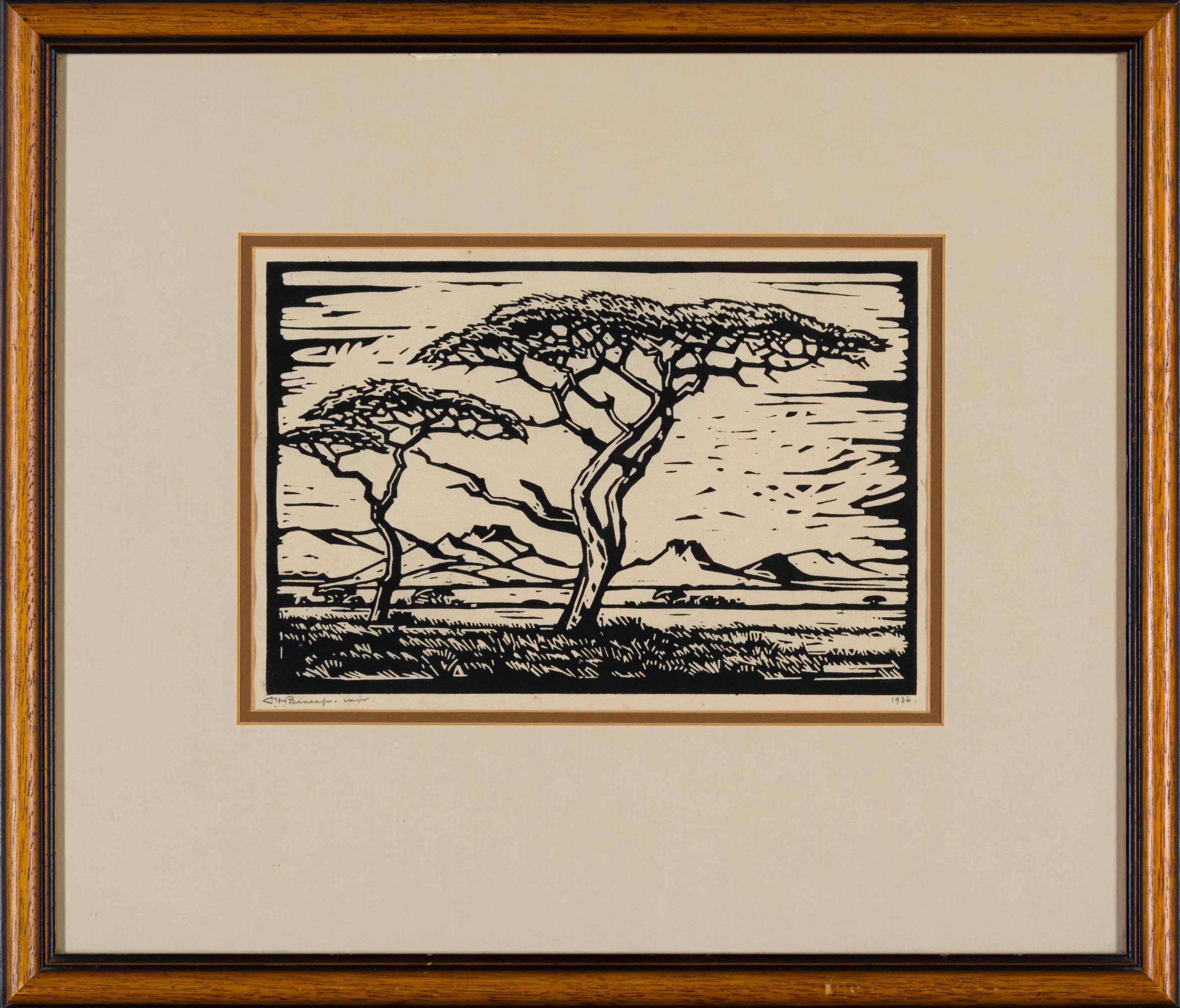 Doringboom, Rustenburg Tvl (Thorn Tree, Rustenburg) (Nilant 90) by ...