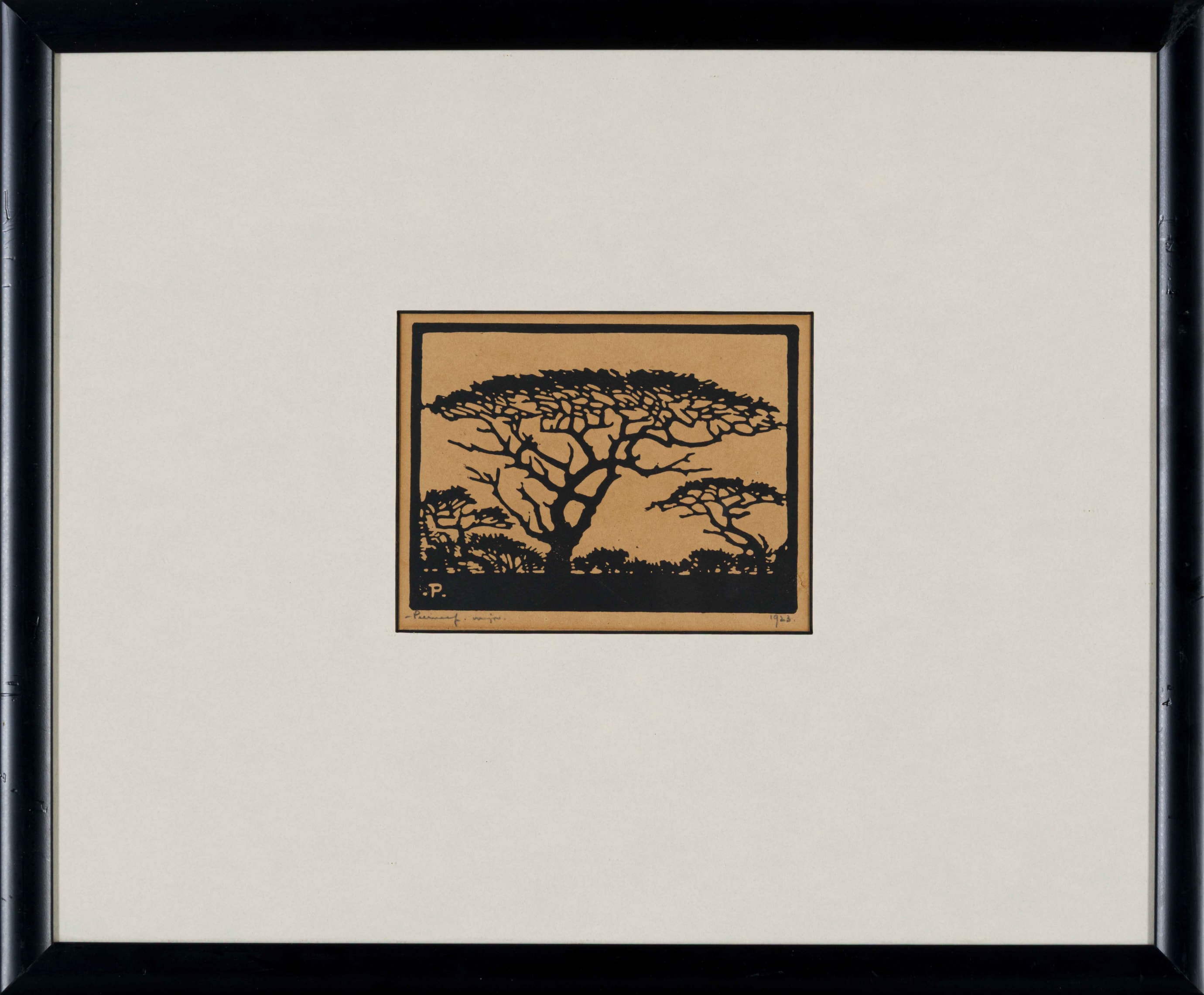 Doringboom, Rustenburg Tvl (Thorn Tree, Rustenburg Transvaal) (Nilant ...