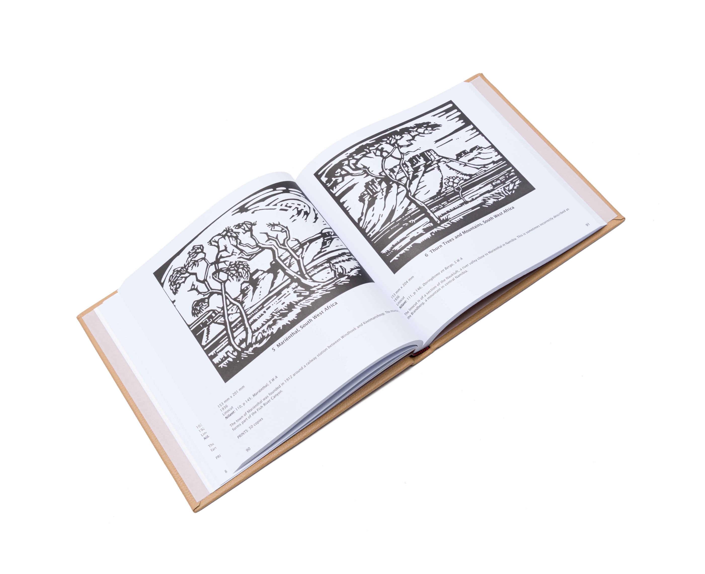 JH Pierneef in Print by Gerard de Kamper and Chris de Klerk | Strauss & Co