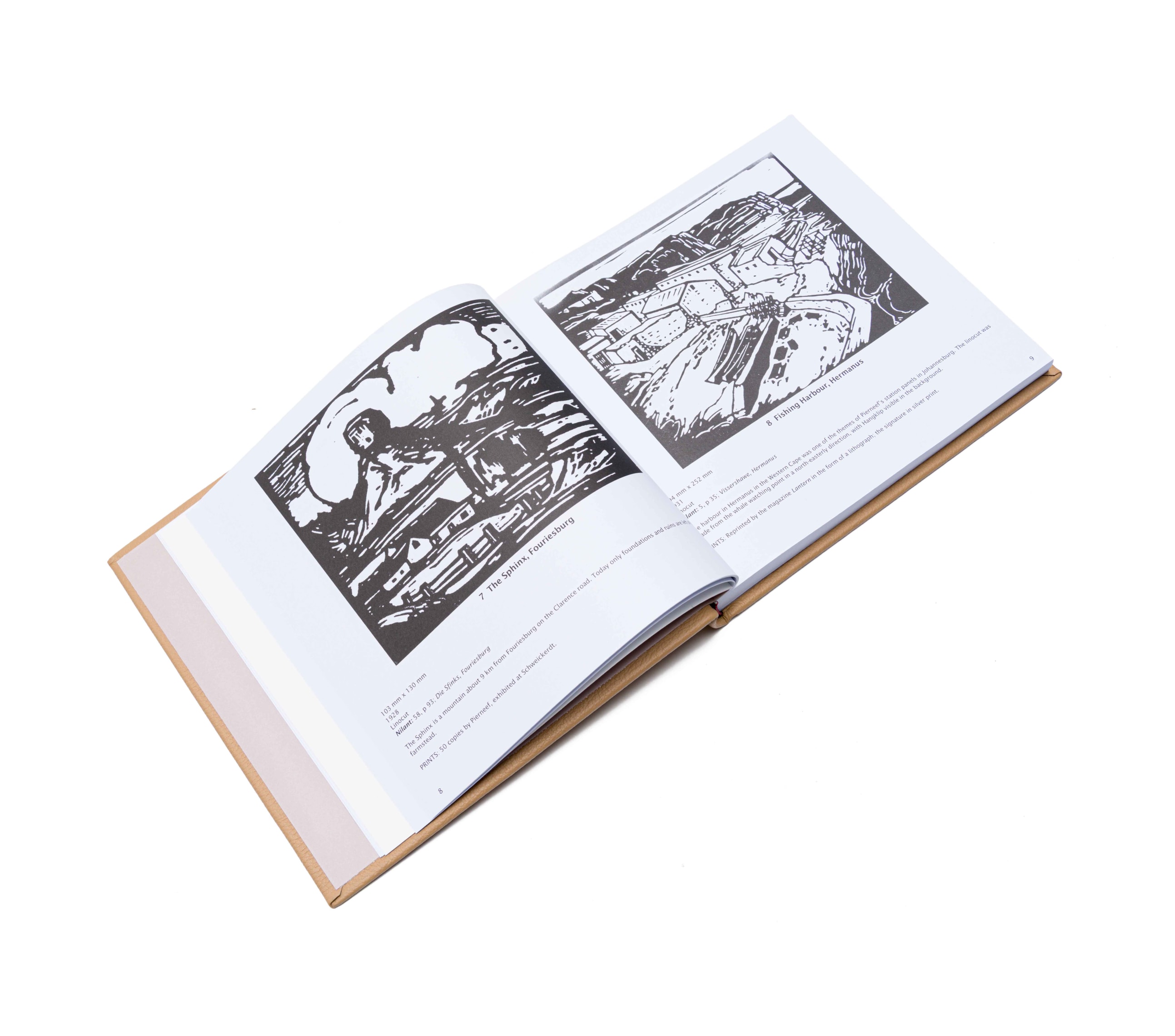 JH Pierneef in Print by Gerard de Kamper and Chris de Klerk | Strauss & Co