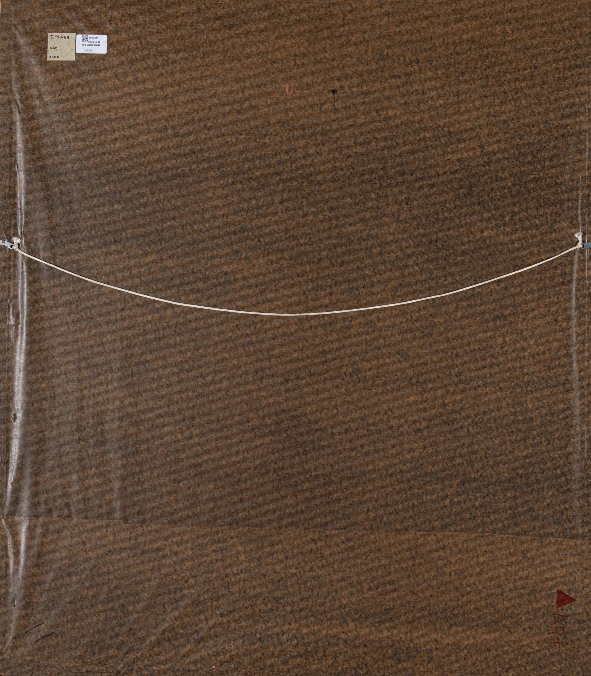 Animal Series II by Alan Crump | Strauss & Co