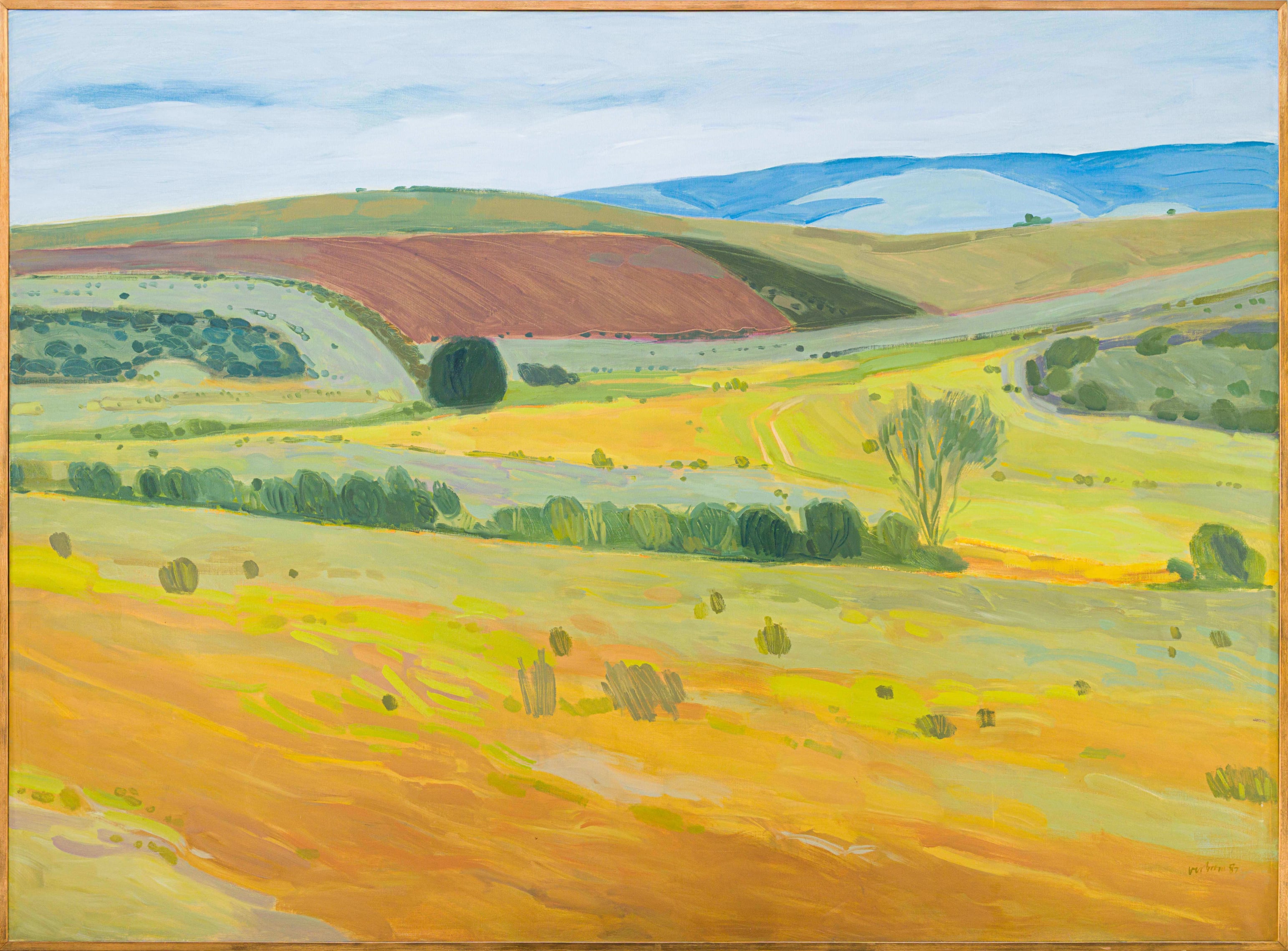 Landscape with Gravel Road and Distant Hills by Nico Verboom | Strauss & Co