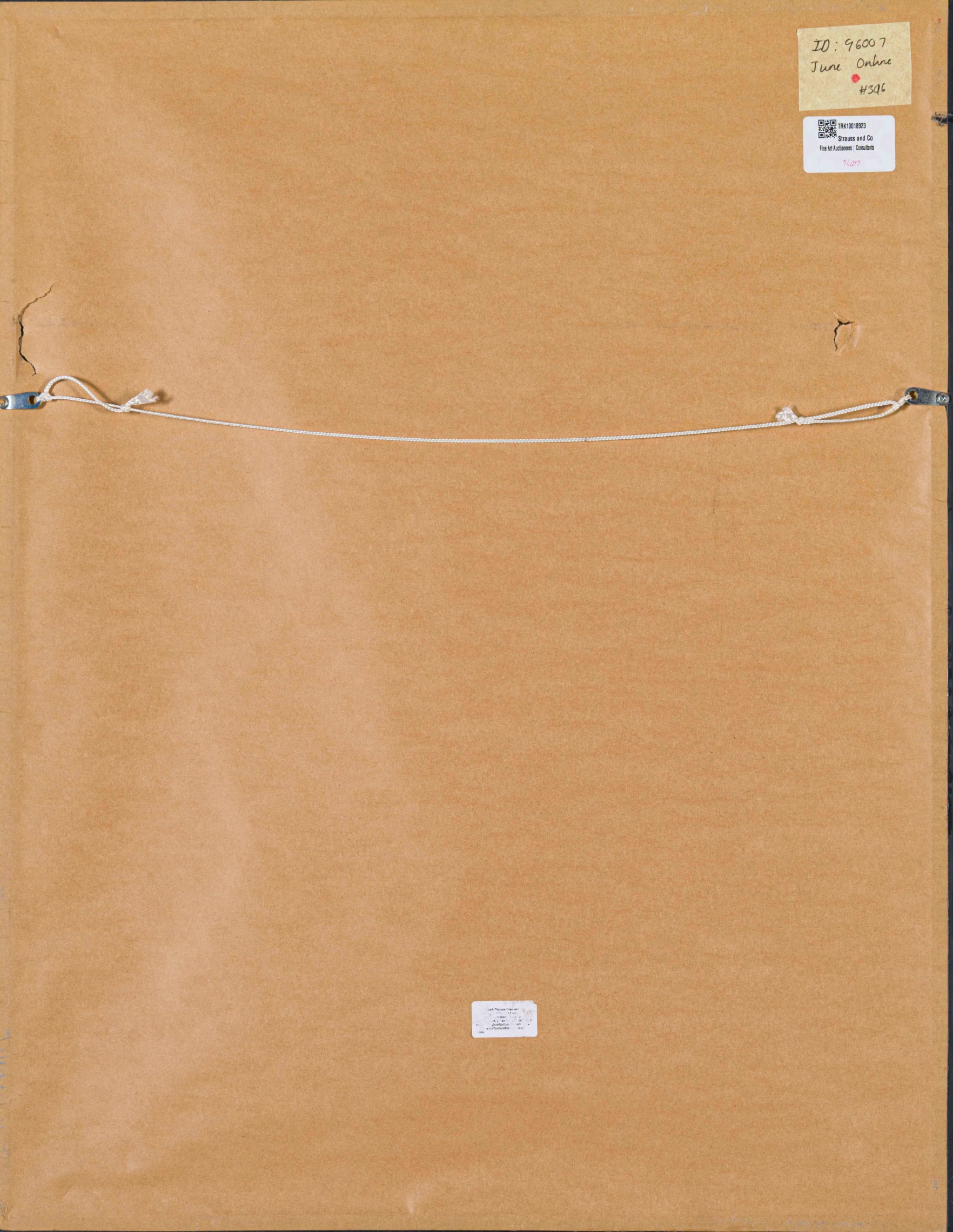 Wild Statice by Andrew Verster | Strauss & Co