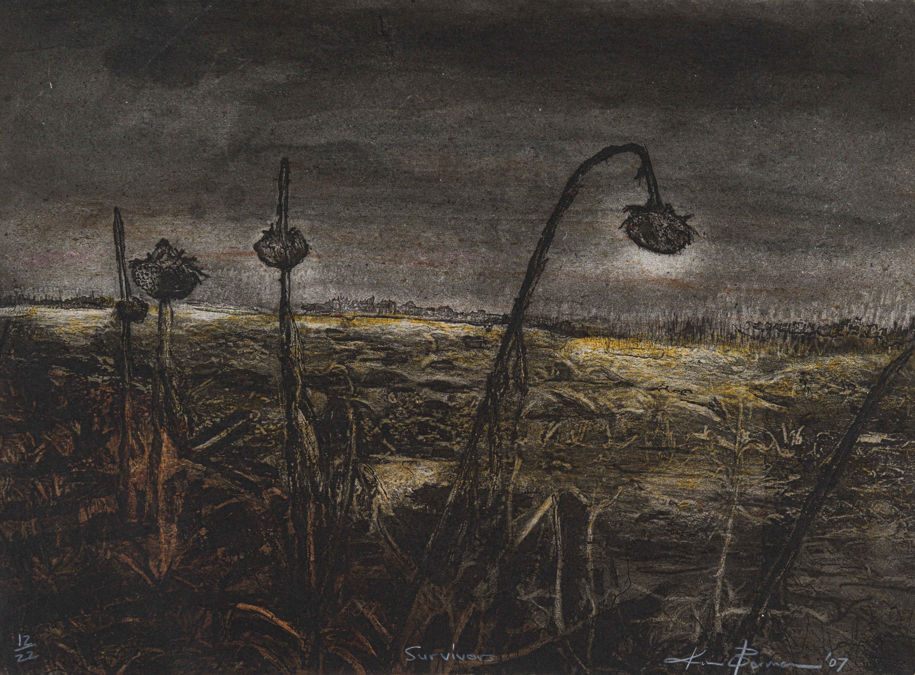 Survivors by Kim Berman | Strauss & Co