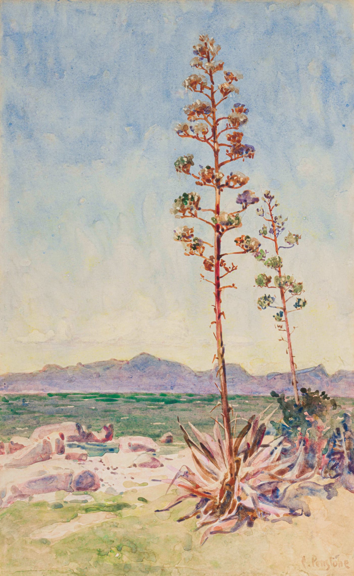 A G Miller's Point by Constance Penstone | Strauss & Co